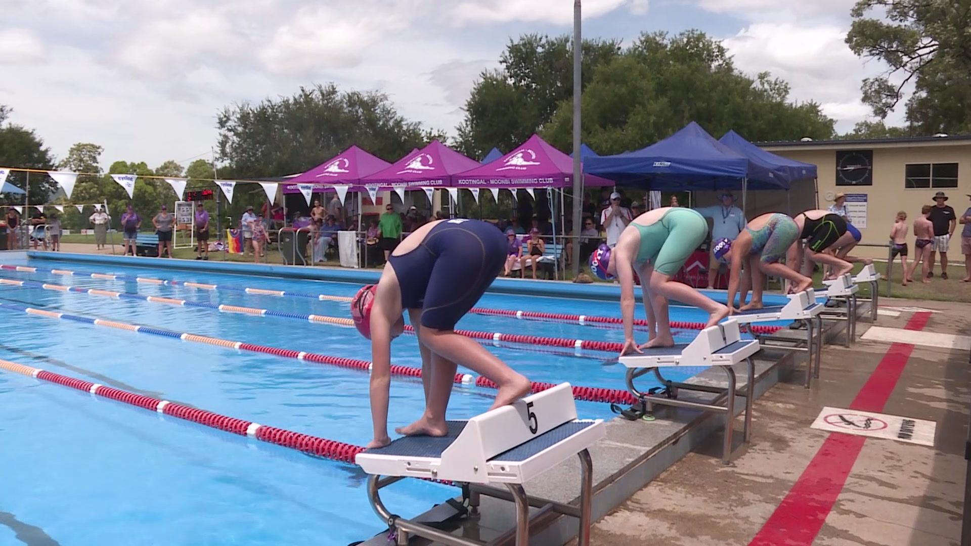 NSW swimmers flock to Kootingal-Moonbi carnival – NBN News