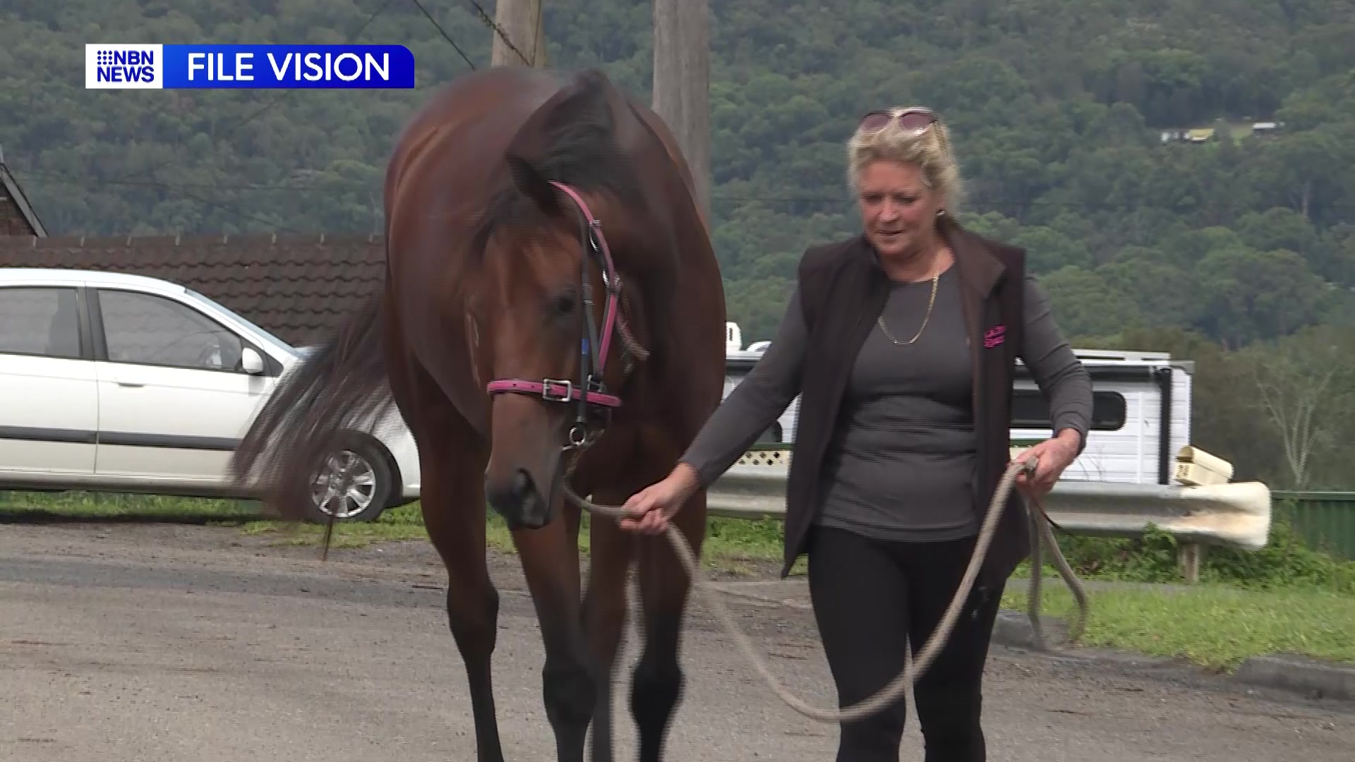 Central Coast race horse breaks 27-year track record – NBN News