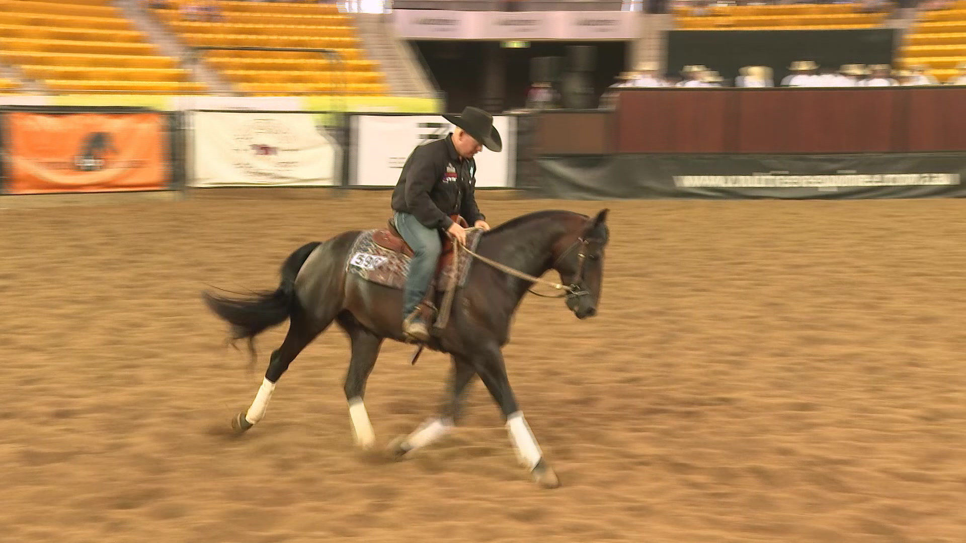 Nutrien Classic Sale concludes with big bids – NBN News