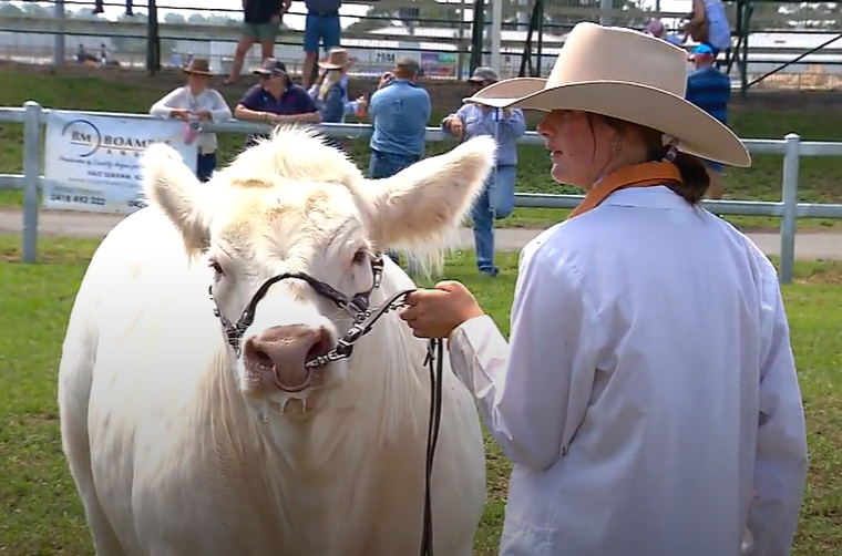 Maitland Show returns for the biggest year yet – NBN News