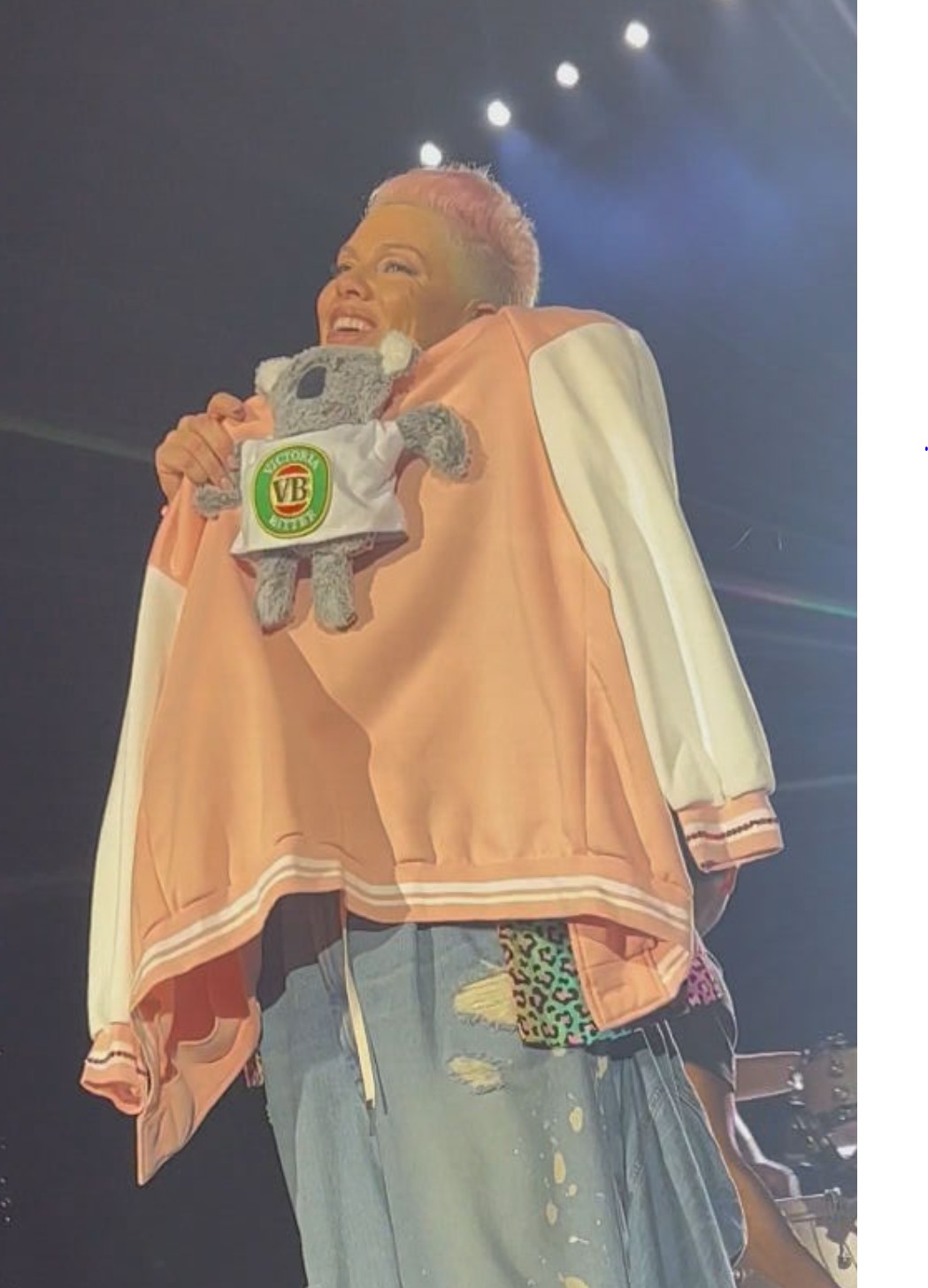 Pink fans relive iconic moment with their idol – NBN News