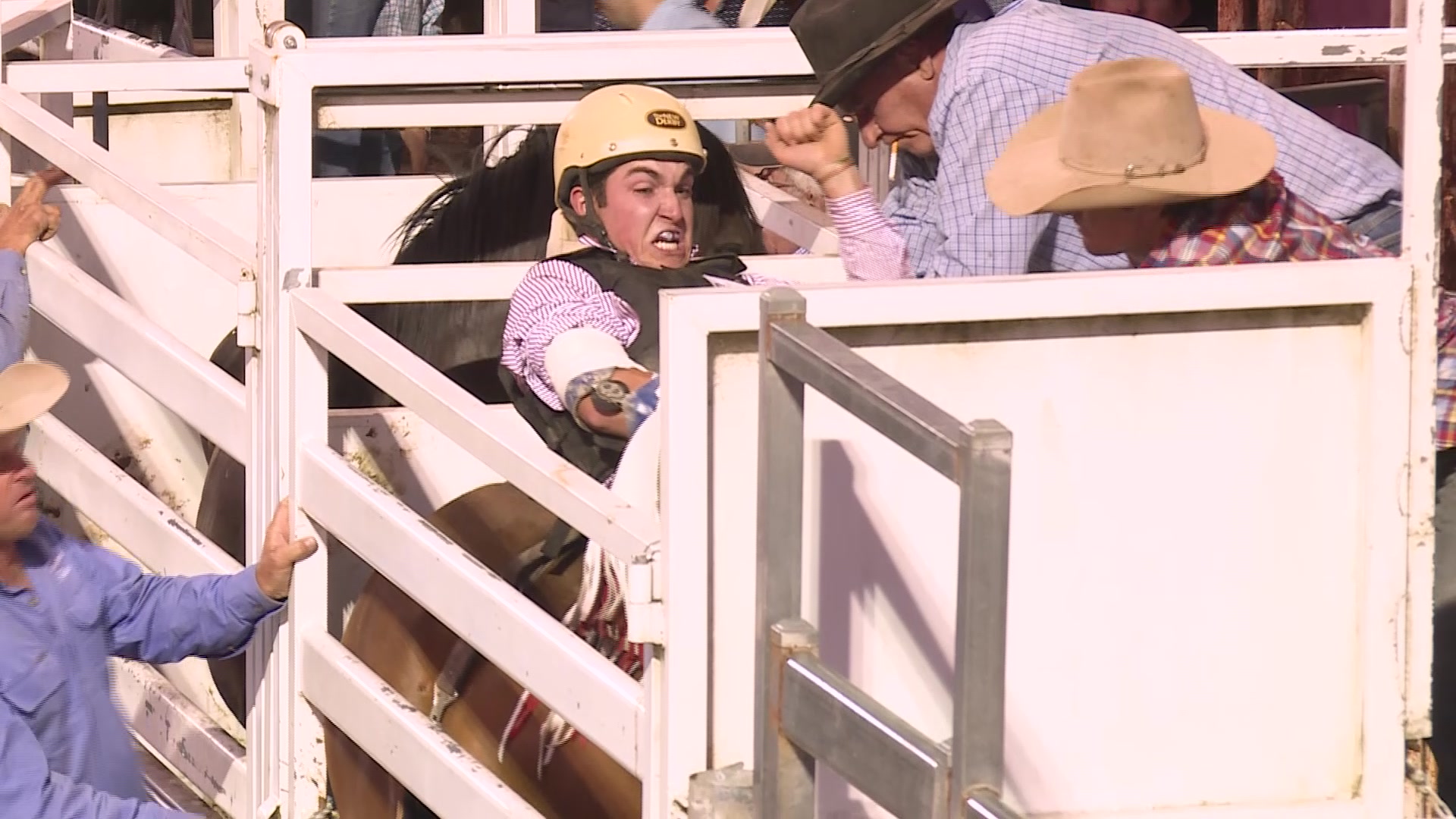 Cowboys demonstrate grit at Bendemeer Rodeo – NBN News