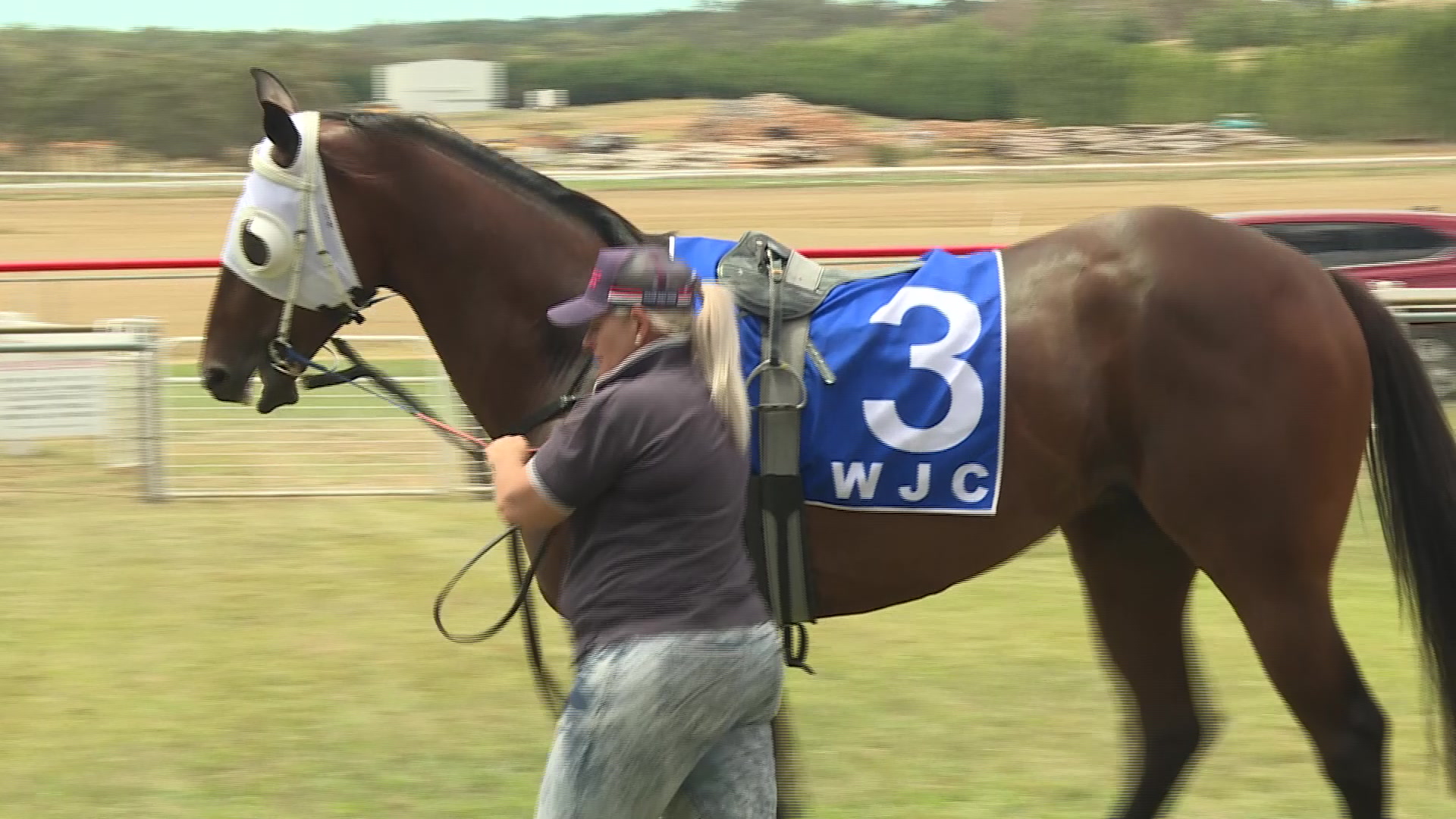 Walcha Cup entices trainers with big prizemoney – NBN News