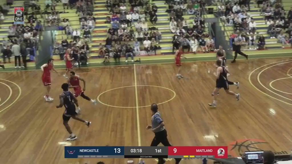 New weapon for Maitland Mustangs – NBN News