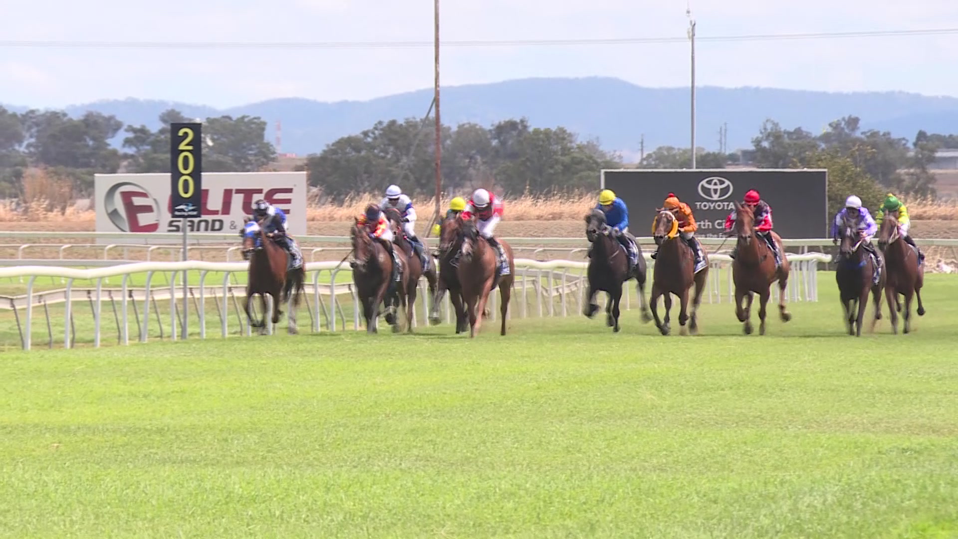 Russley Crown wins Country Championship Qualifier in Tamworth – NBN News