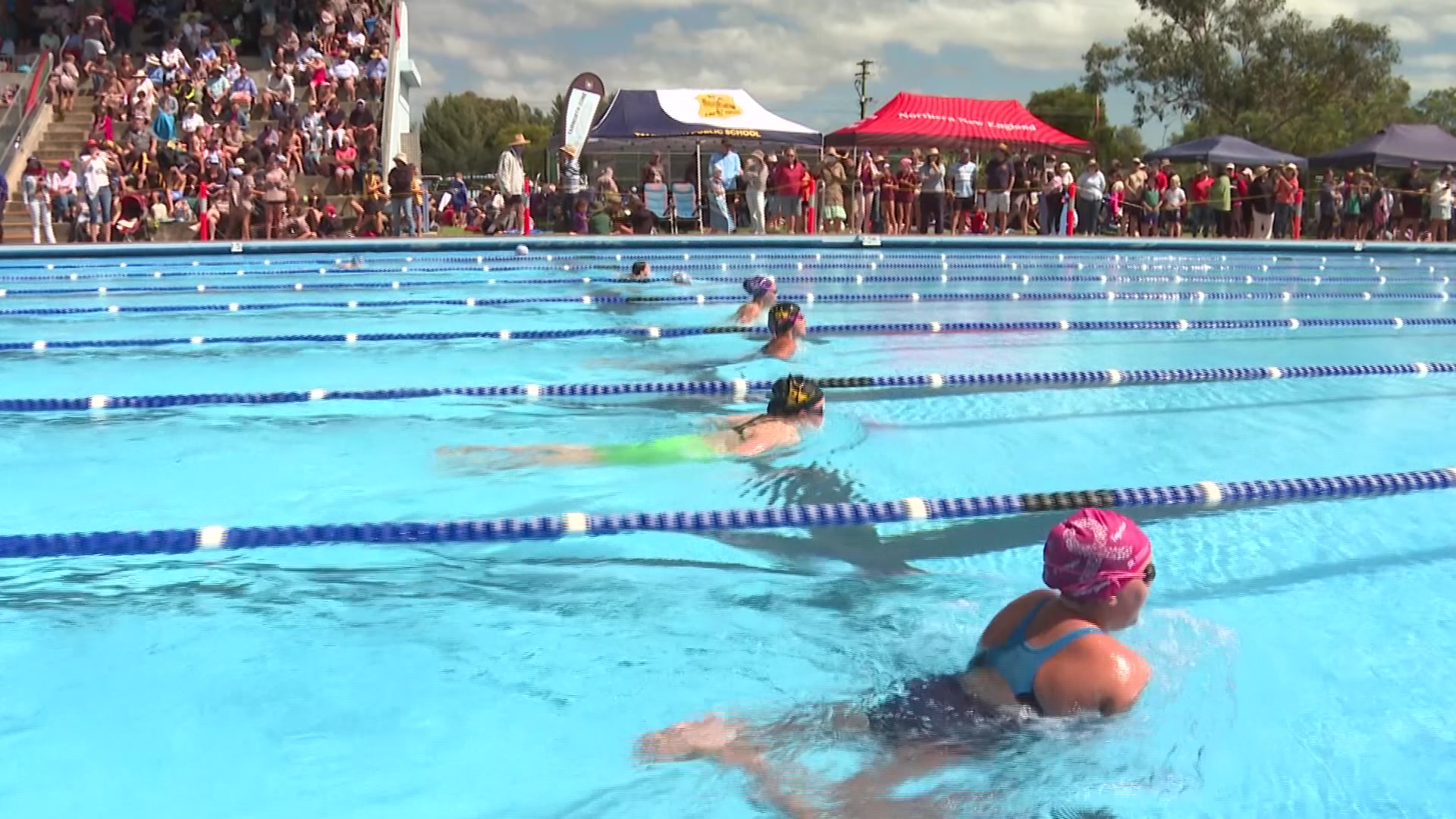 Primary swimmers dive into North West regional trials – NBN News