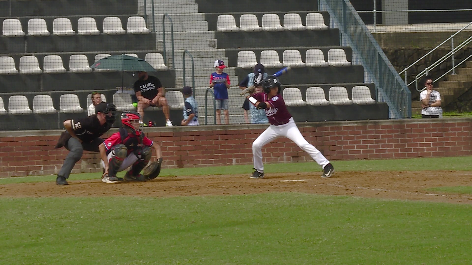 Junior League State Baseball Titles underway in Lismore – NBN News