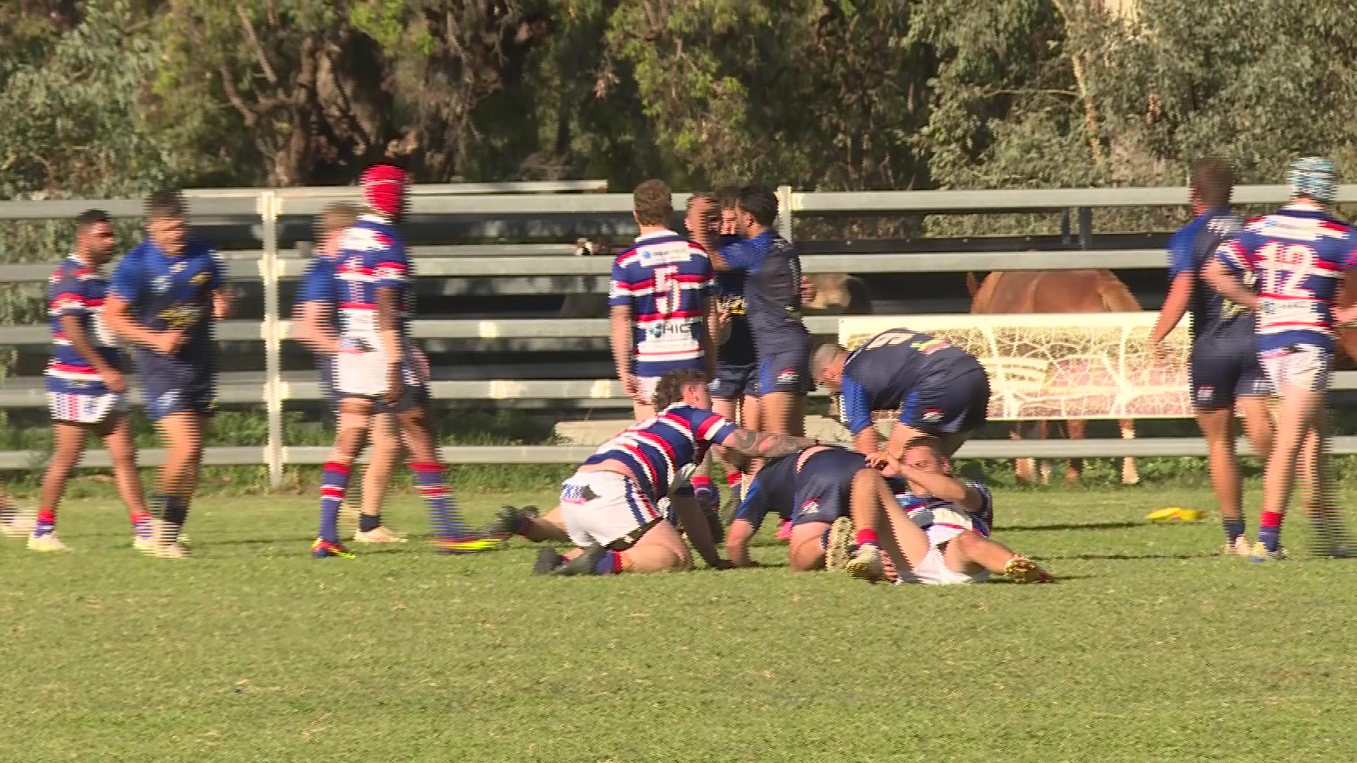 Dungowan down Gunnedah for first season win – NBN News