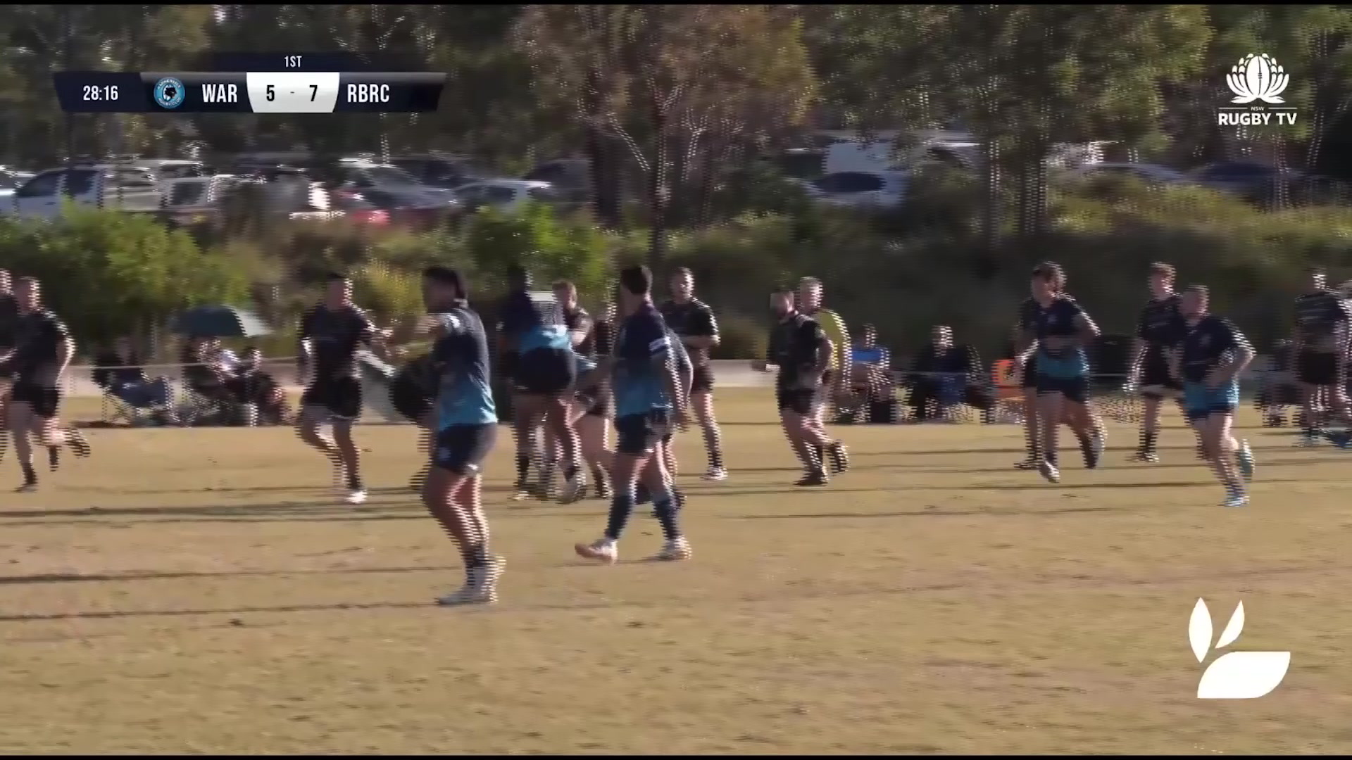 Warnervale Wildcats vying for their first win on Saturday – NBN News