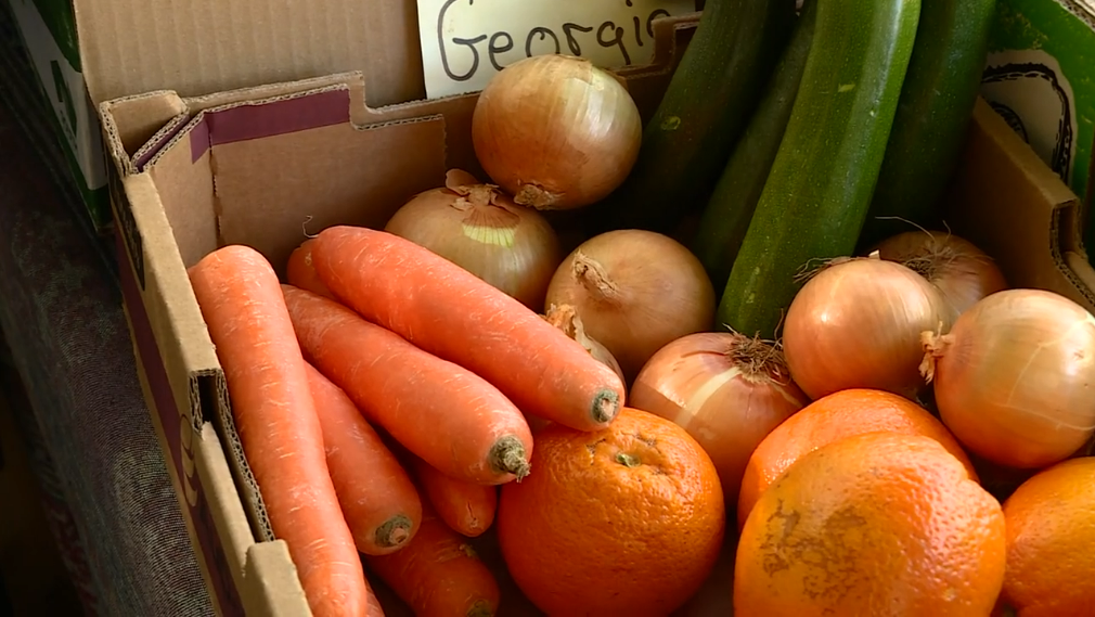 “Box Divvy” working towards re-inventing the food system – NBN News