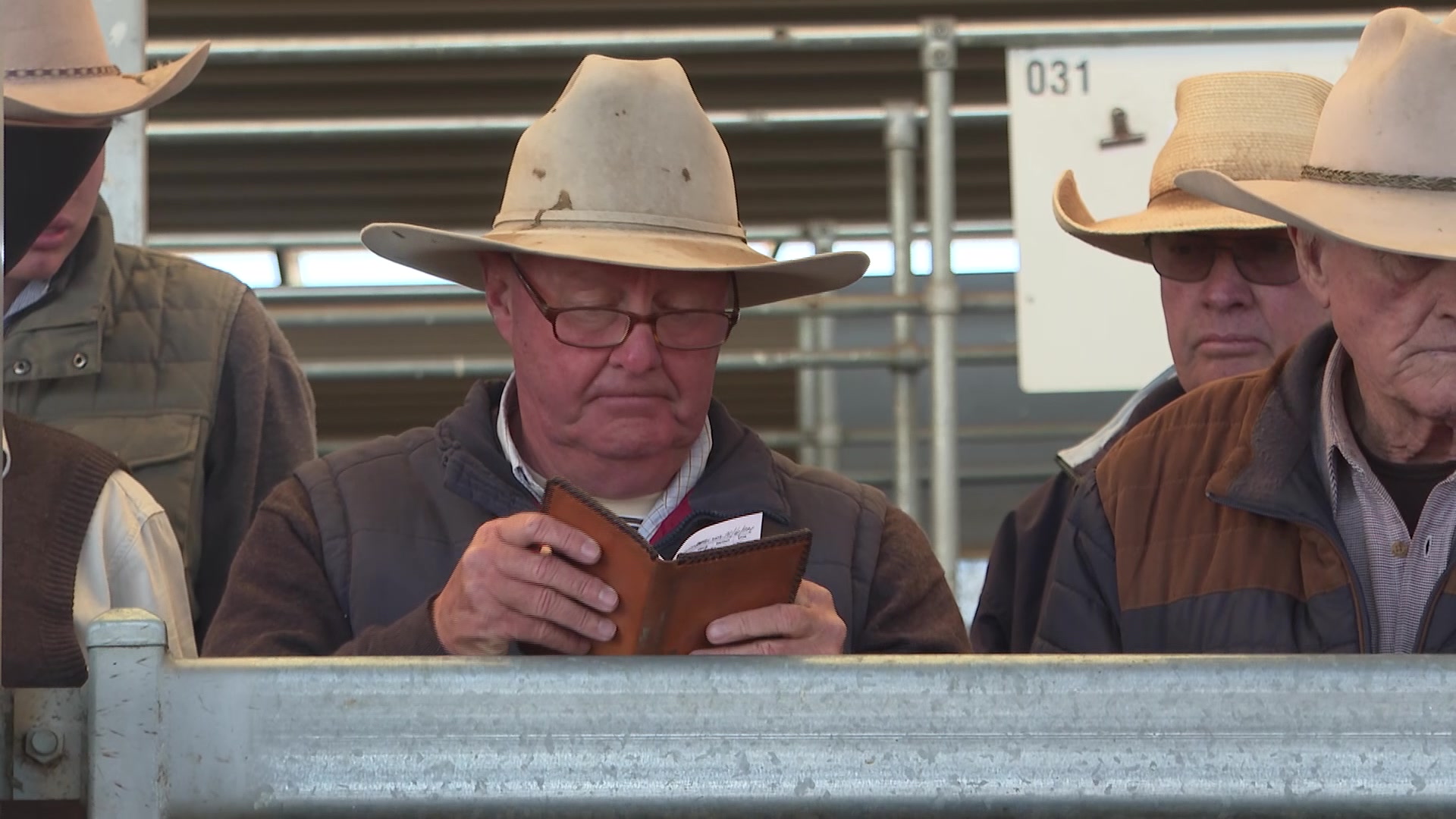 TRLX sells 5,000 cattle at EOFY sale – NBN News
