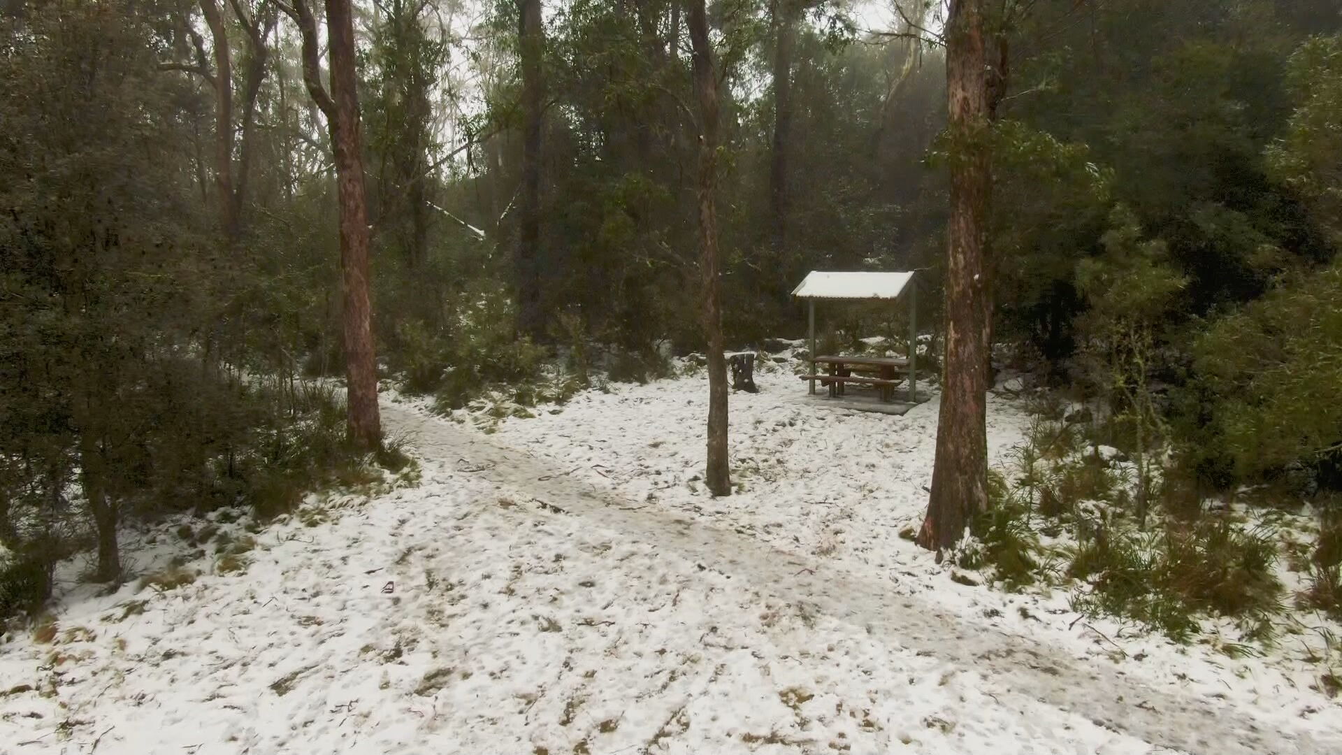 Cold snap brings snow flurries to Barrington Tops – NBN News