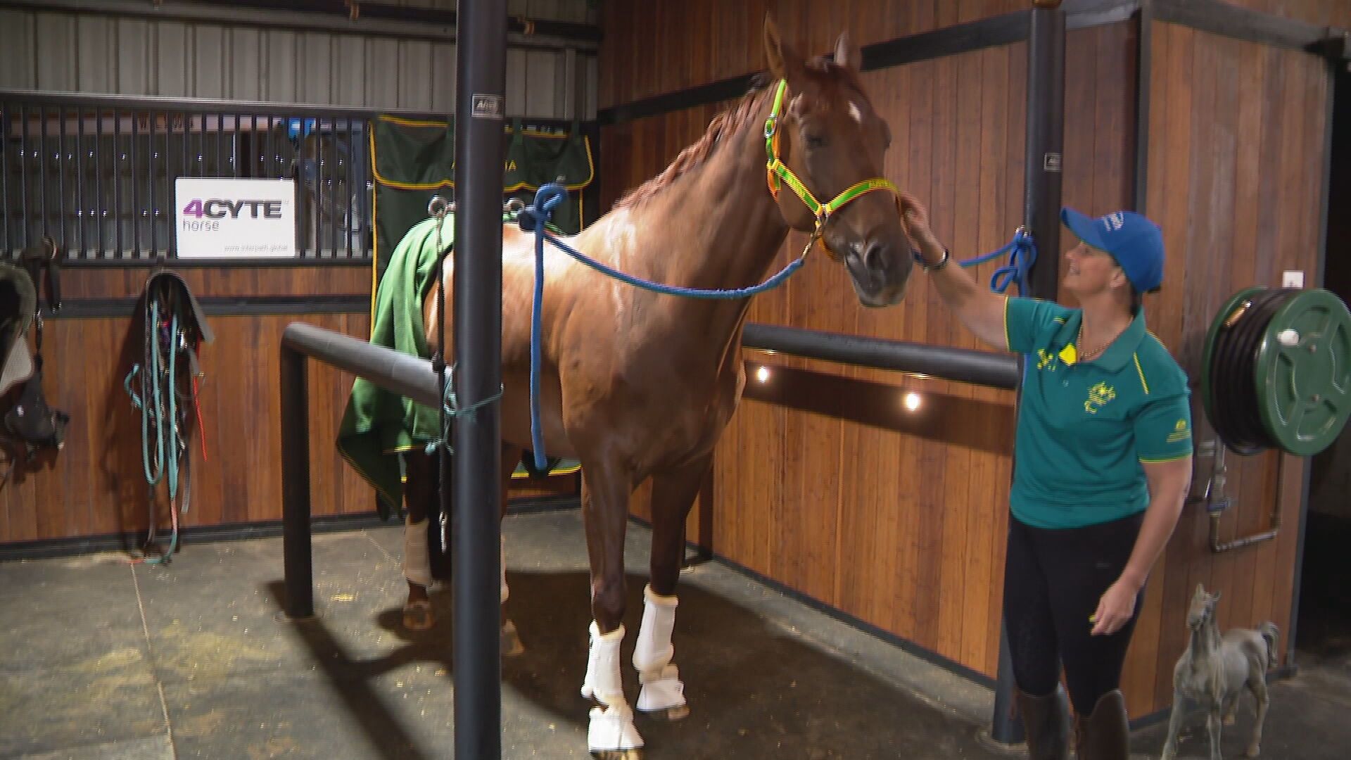 Lisa Martin defies the odds to reach Paralympic Games – NBN News