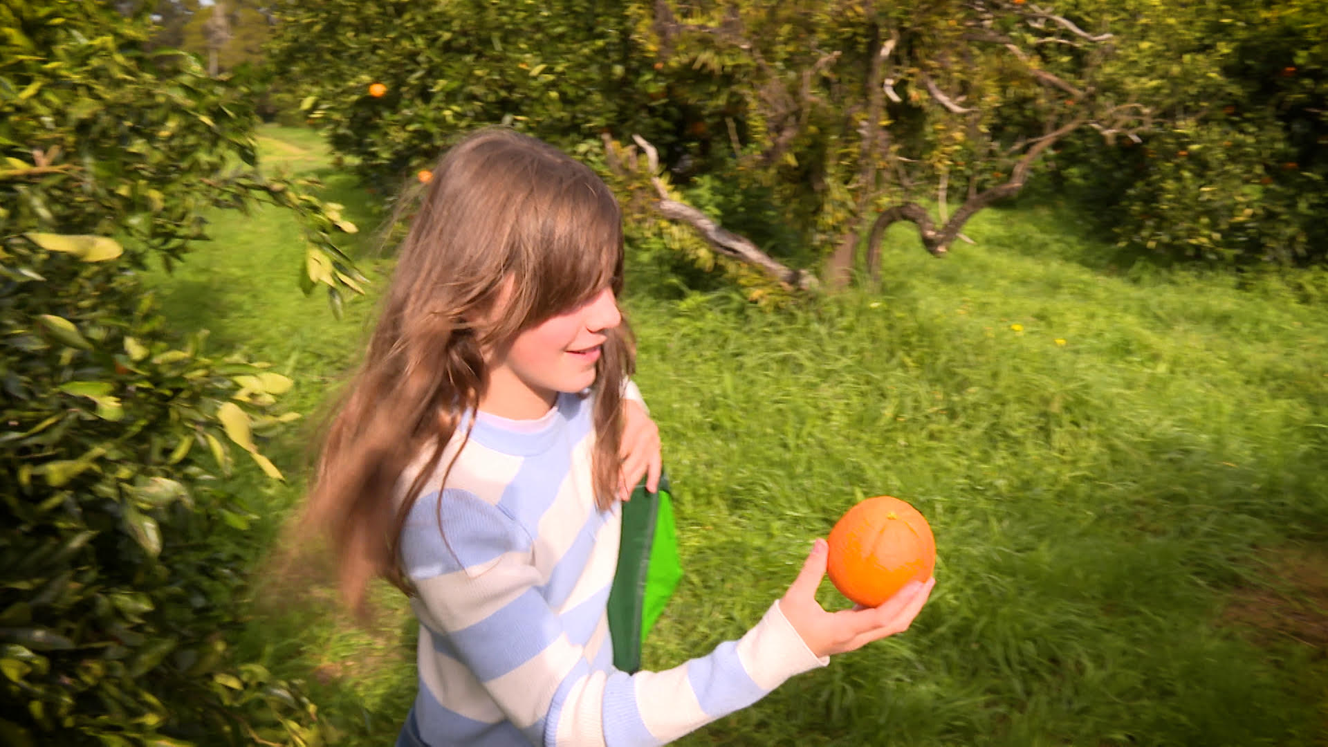Orange open day to boost support for local producers – NBN News