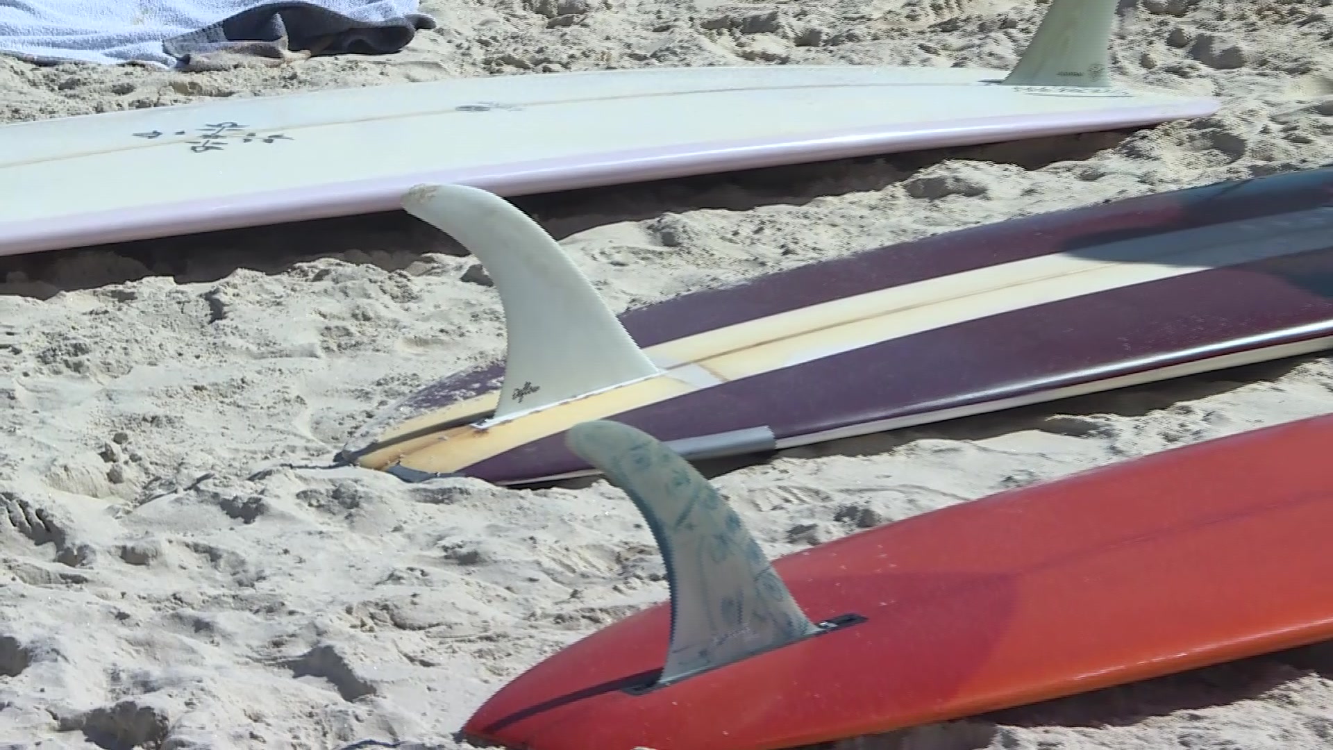 Byron Bay Surf Festival makes a splash – NBN News