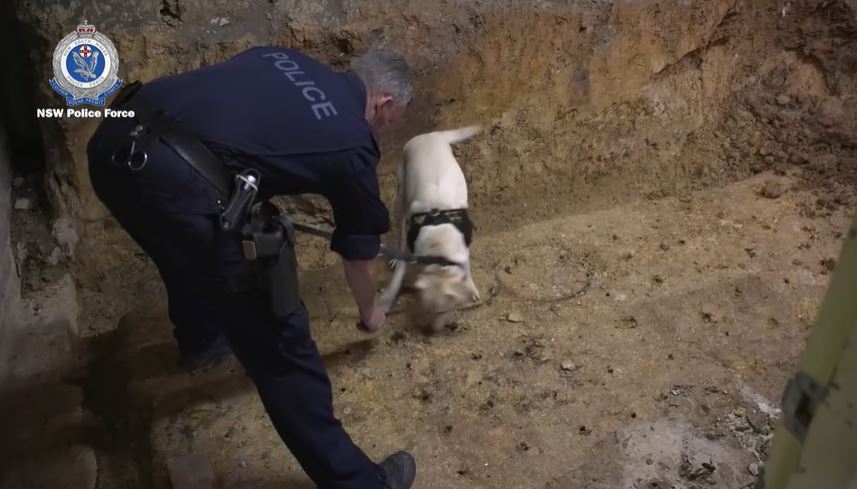 New search for missing teen Rose Howell – NBN News