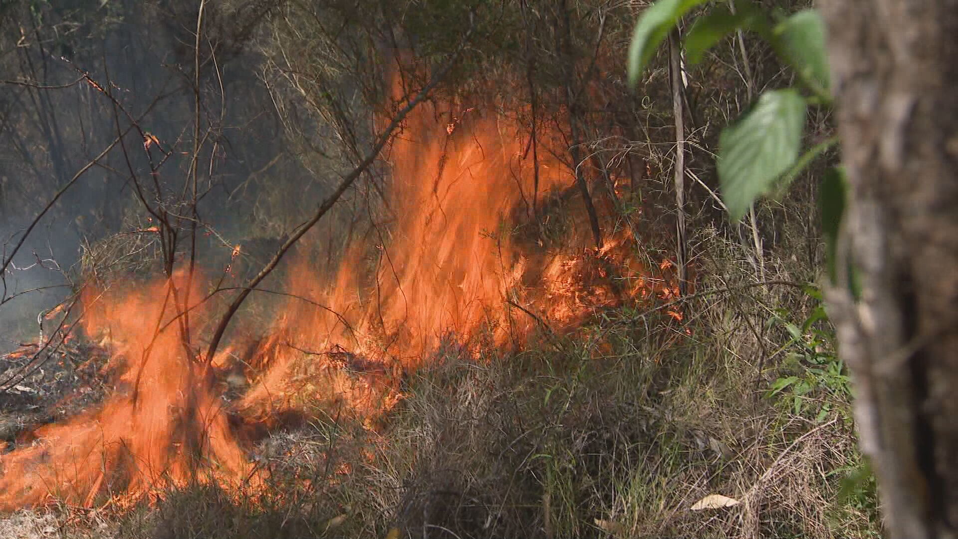 RFS conducts first hazard reduction burns of the season in the Hunter ...