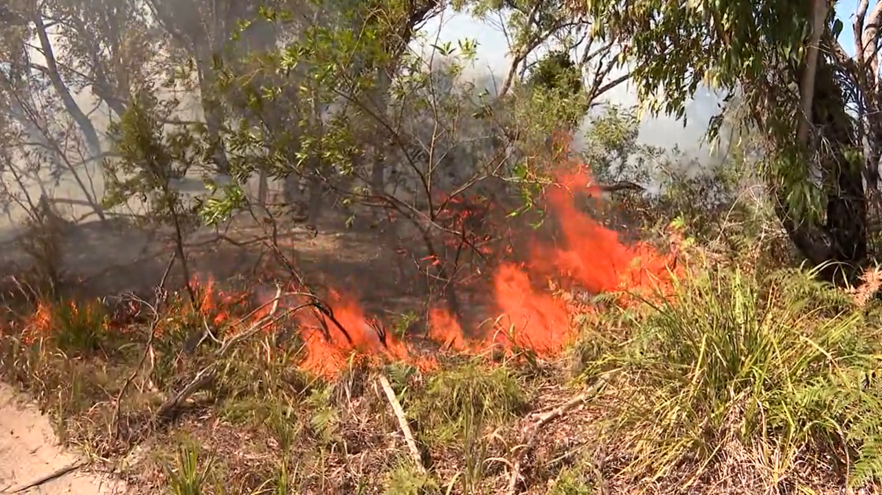 RFS volunteers called to 9 Mile Beach blaze as bushfire season heats up ...