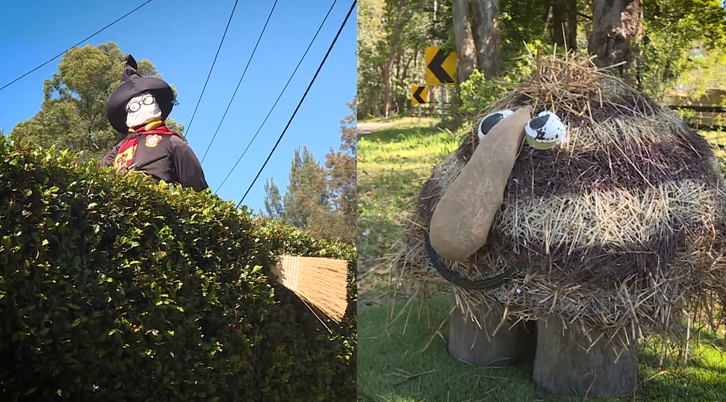 Scarecrow Competition underway across the Central Coast Hinterland ...