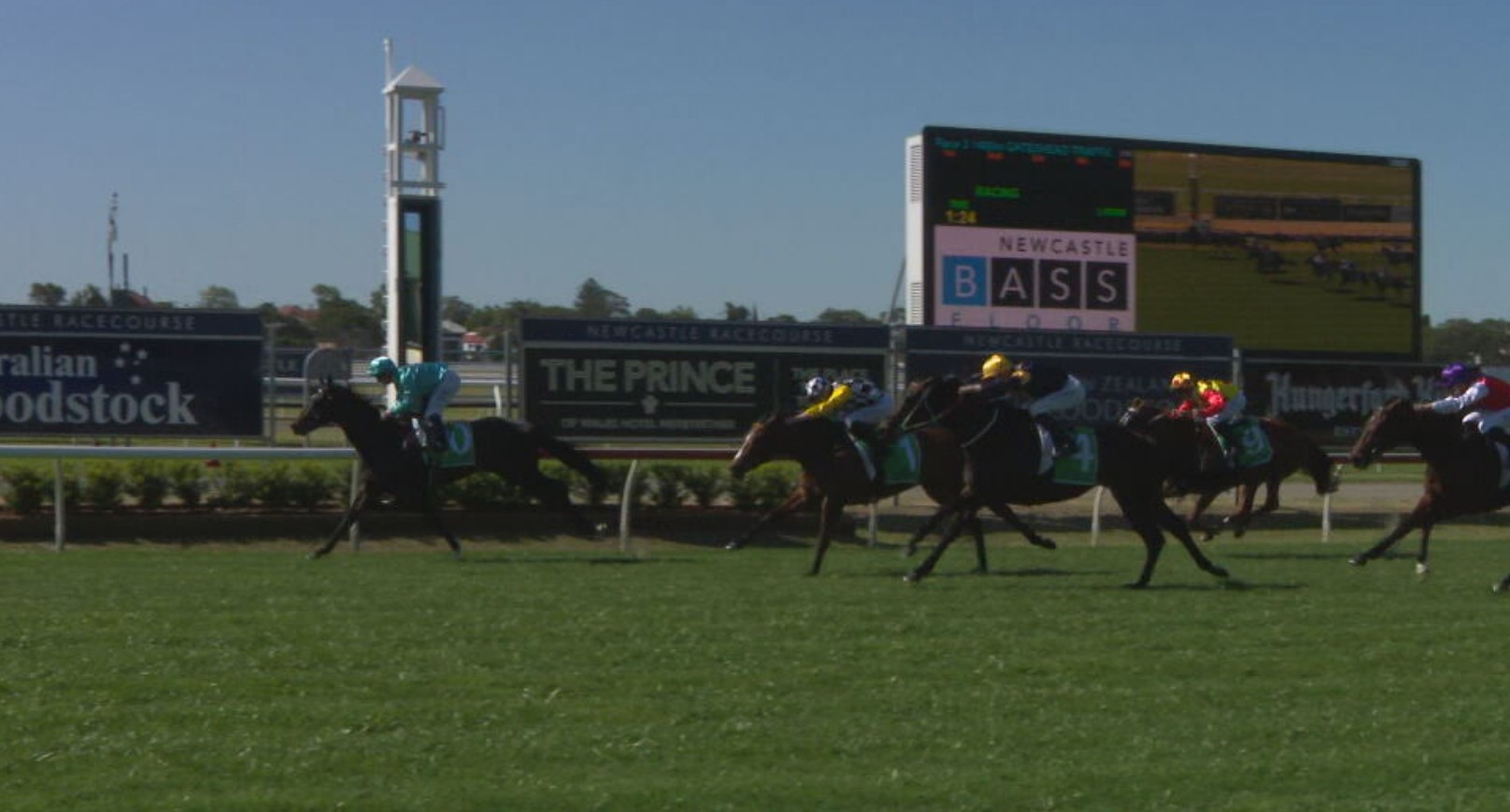 Chris Waller wins Newcastle Gold Cup – NBN News