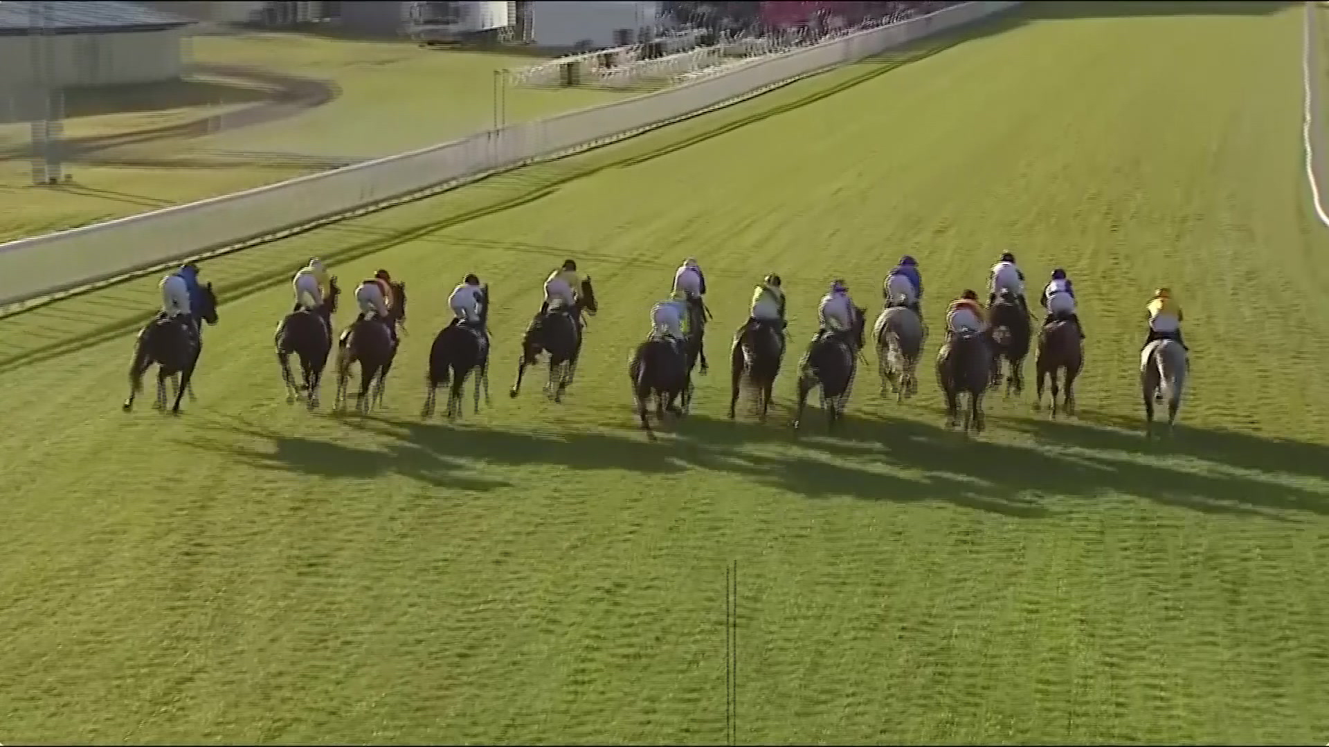 Competitive racing returns to Wyong – NBN News