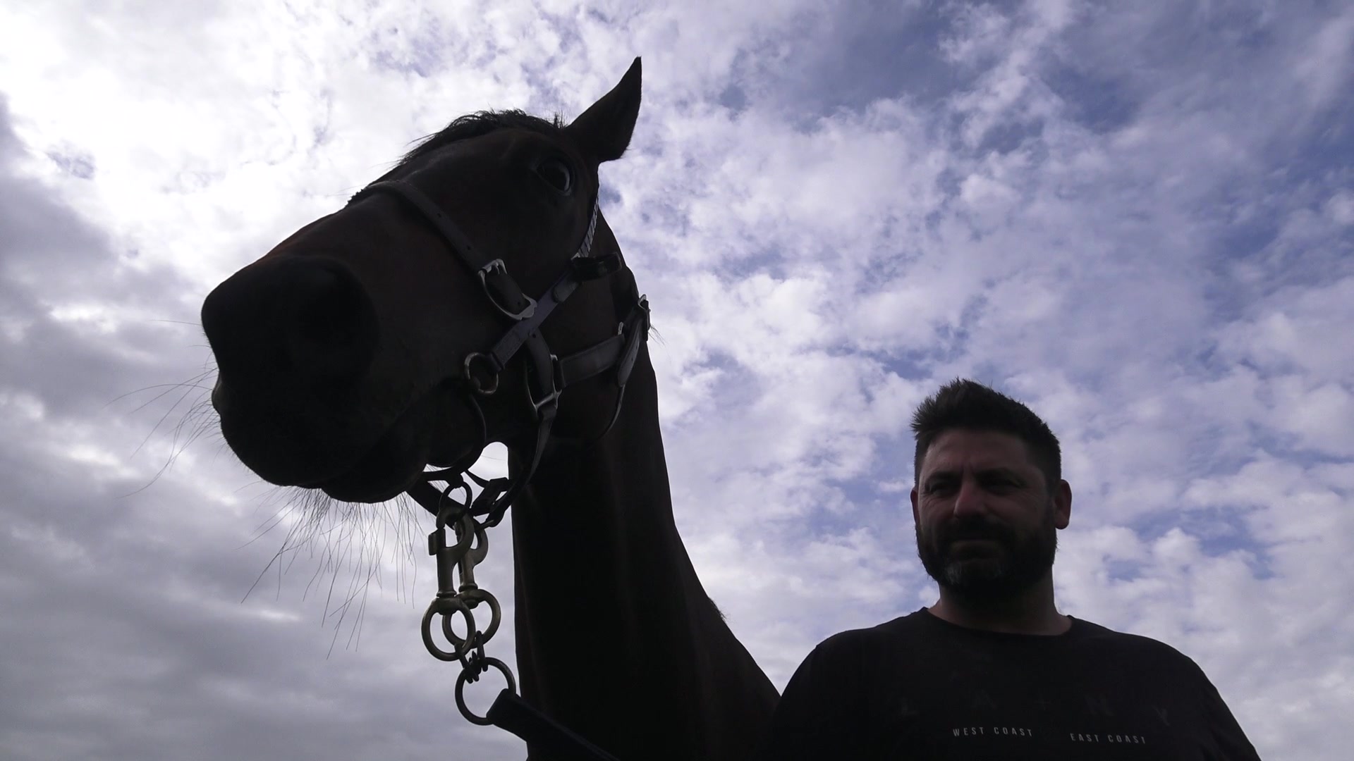 Northern Rivers horse trainers prepare for Kosciuszko – NBN News