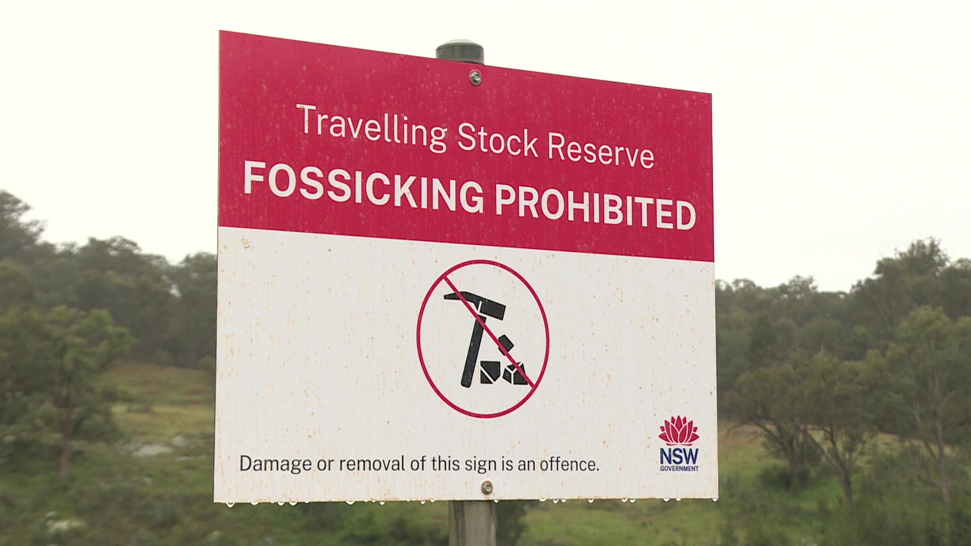 Nundle fossicking ban threatens tourism industry – NBN News