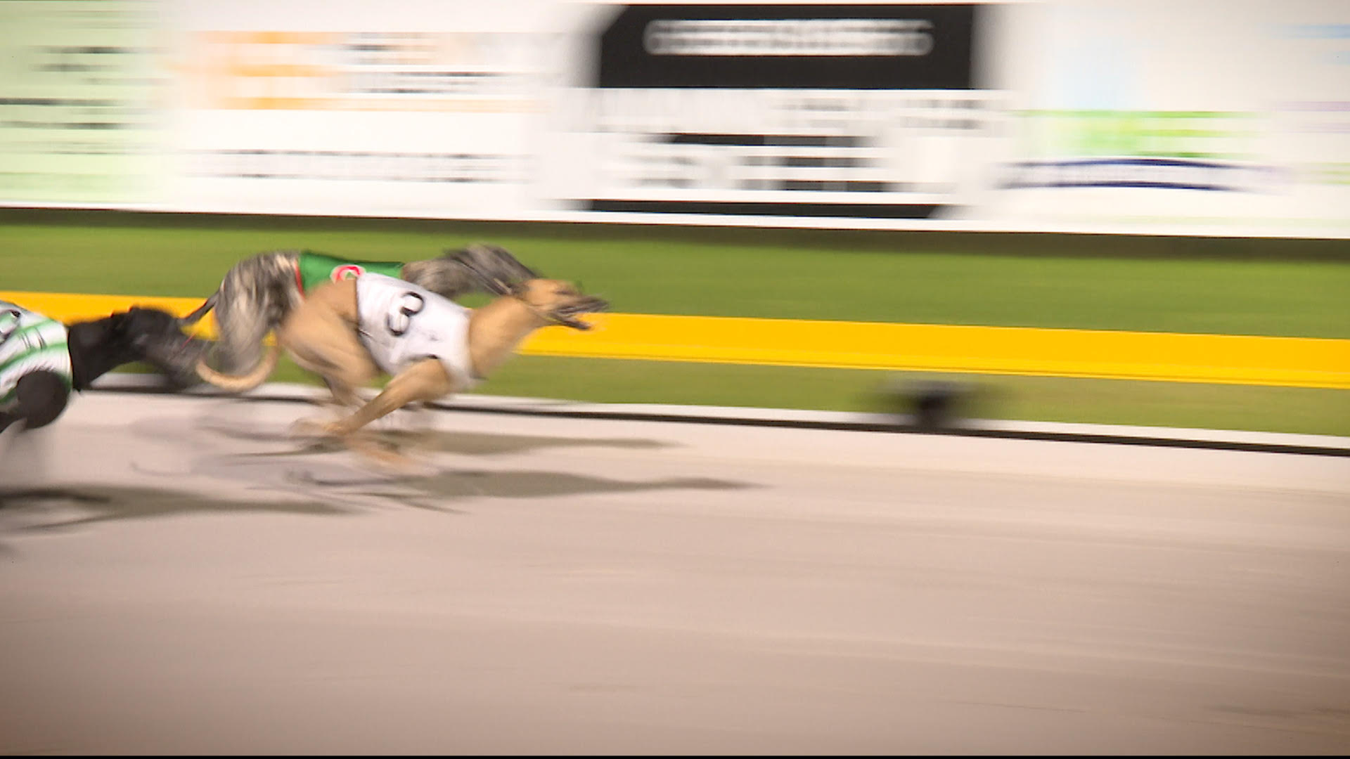 Spirit boy celebrates victory at Mid North Coast cup final – NBN News