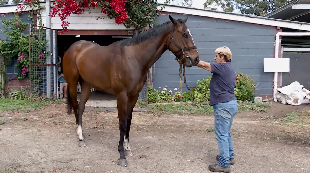 Residents giddy-up for Kempsey Cup – NBN News