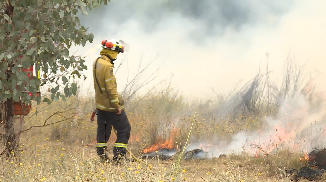 RFS conducts hazard reduction burn in North Tamworth – NBN News