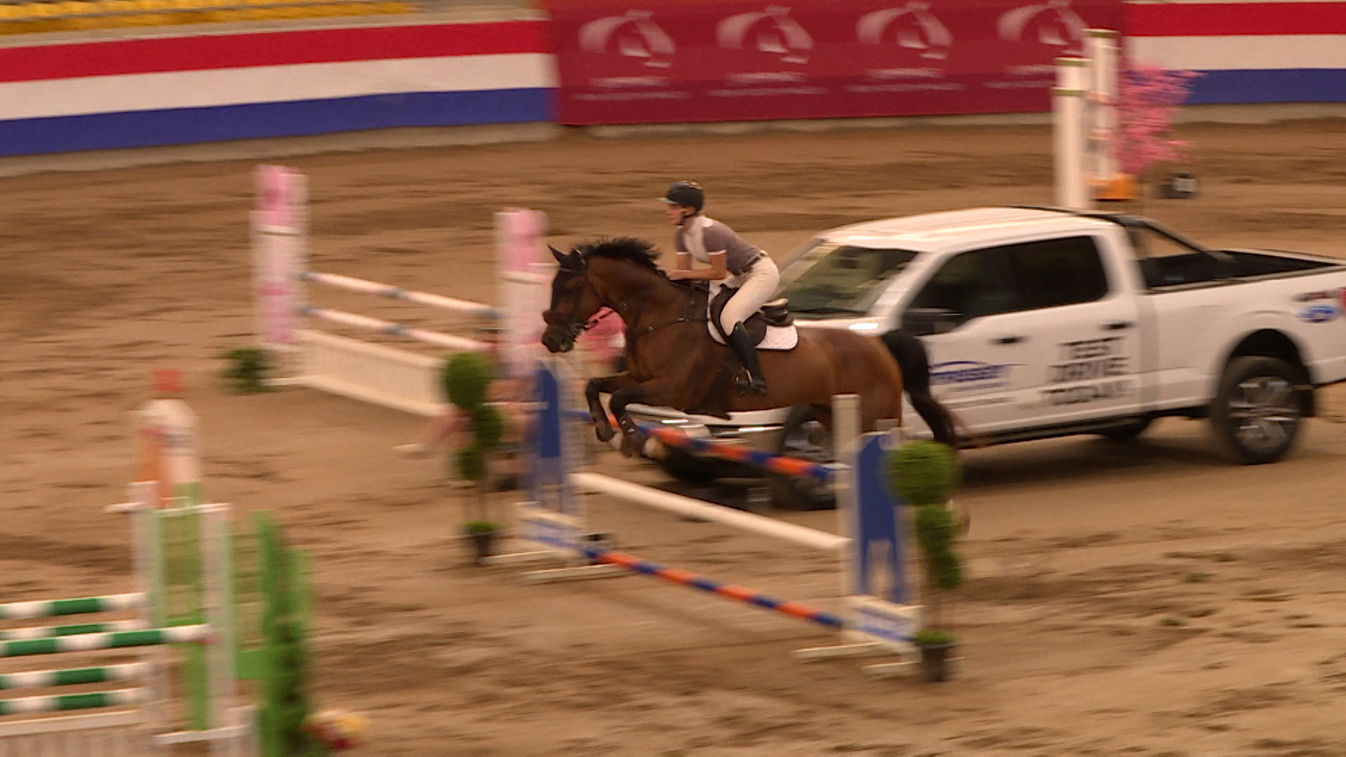 NSW Indoor Showjumping Championships begin in Tamworth – NBN News