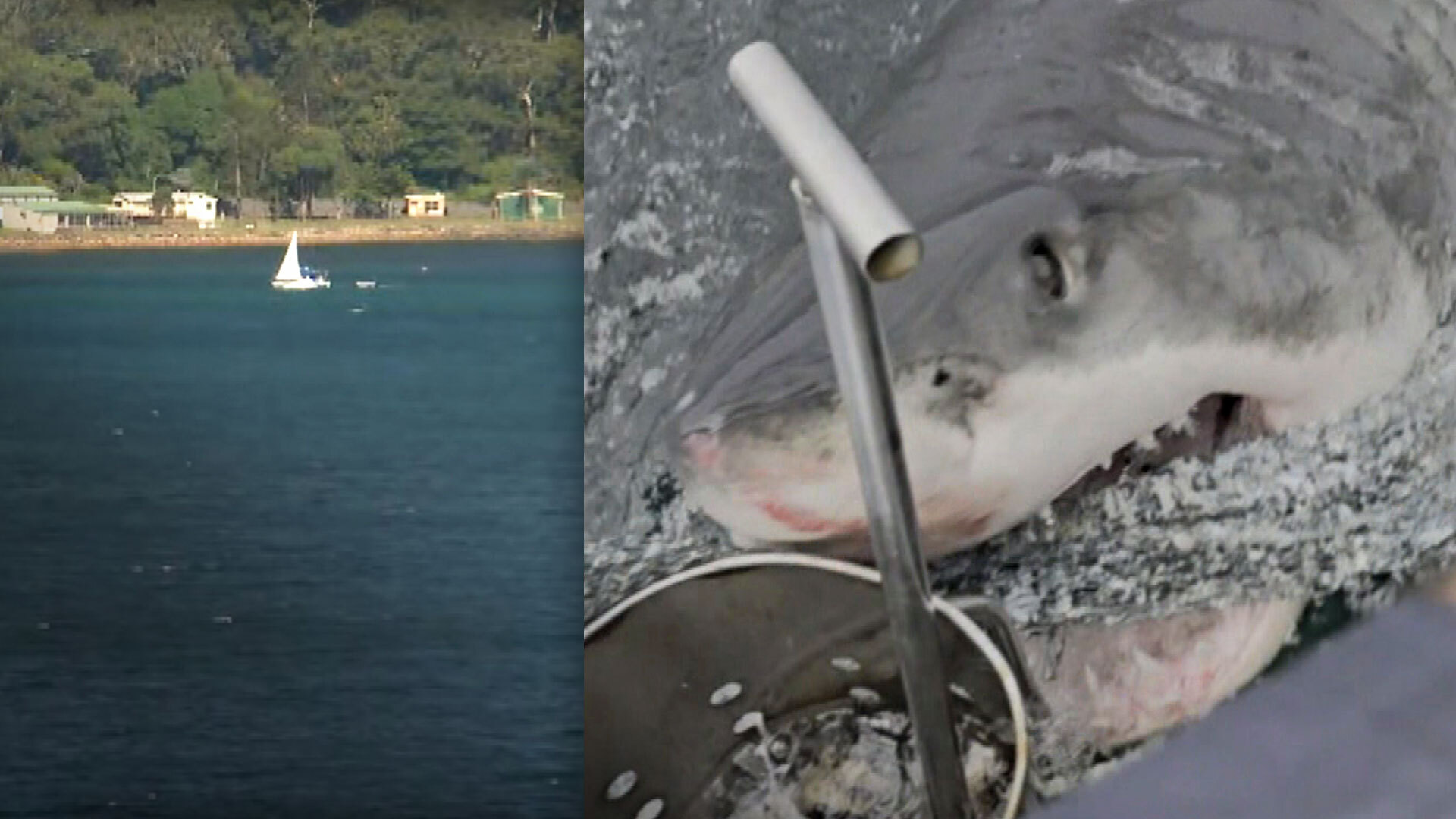 ‘Much loved’ man who fell overboard during fishing competition named ...