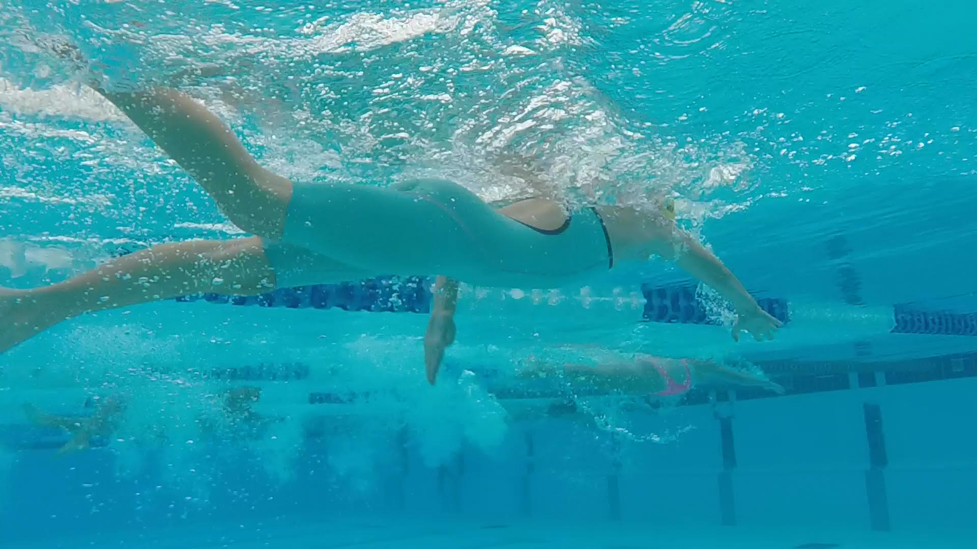 Taree swimmers ready to line up at Sydney Olympic Park – NBN News