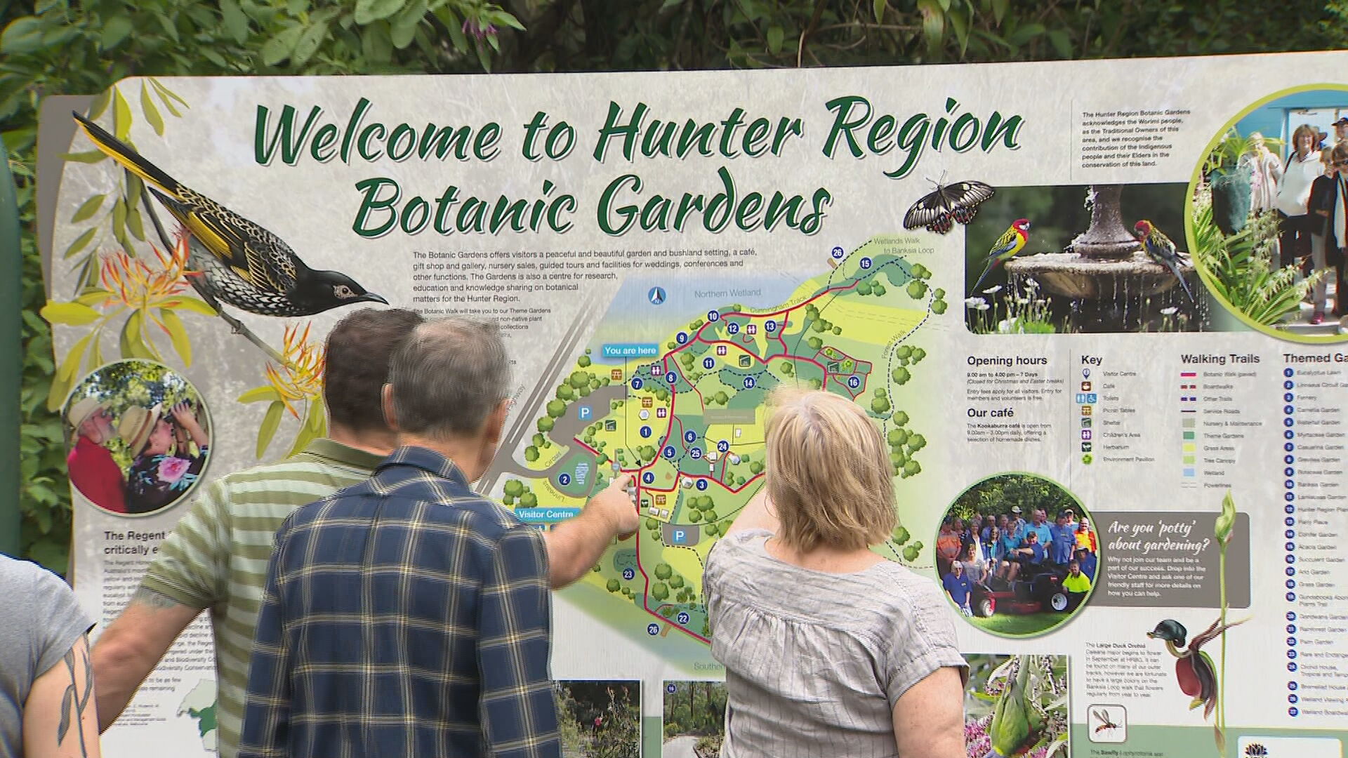 Hunter Botanic Gardens reopen after 10 week storm recovery – NBN News