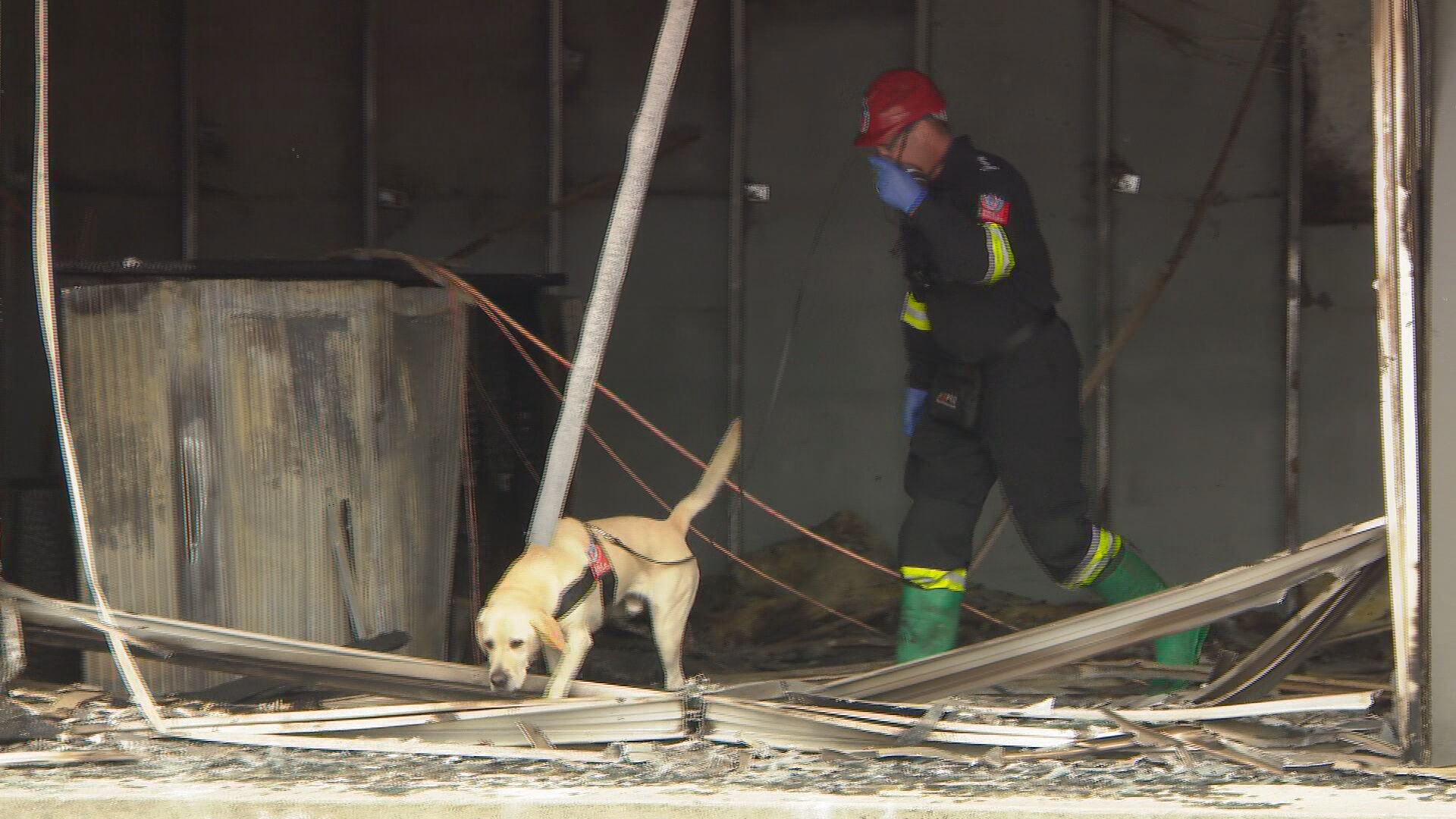 Rutherford mechanic office destroyed by fire – NBN News