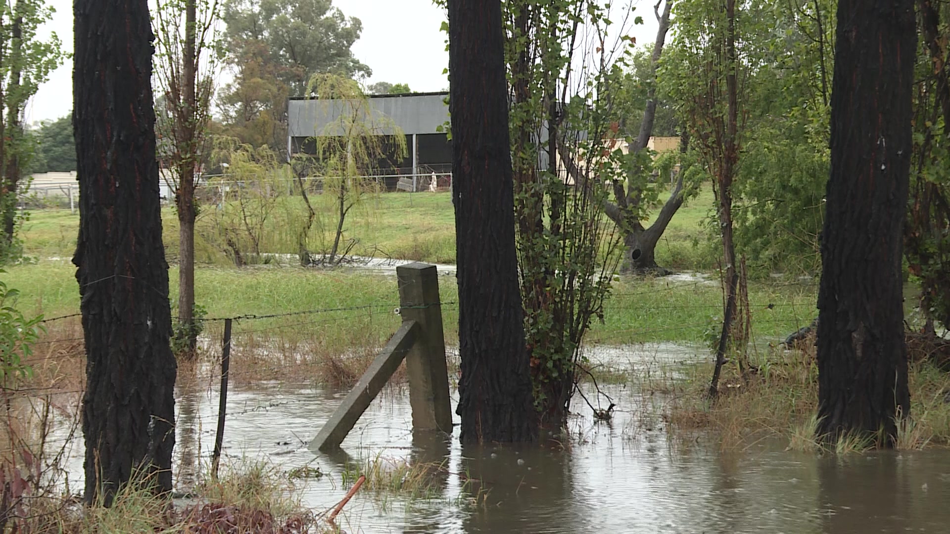 Local rivers on flood watch – NBN News