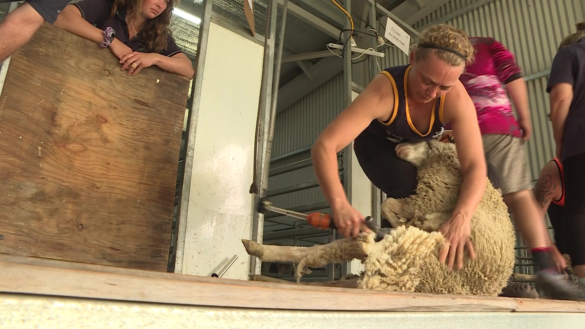 Rural women’s award nominee competes at Walcha Show – NBN News
