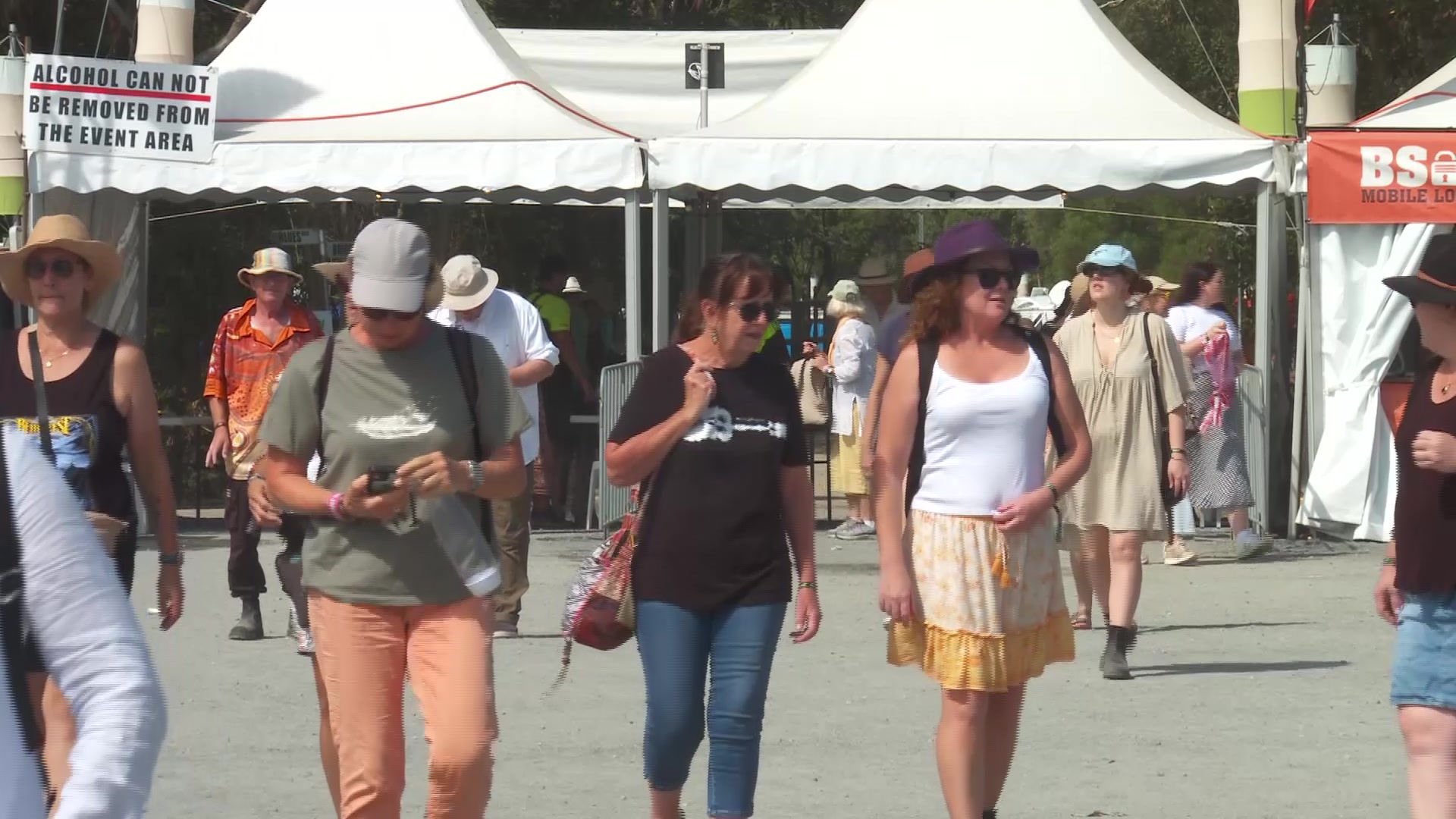 36th Bluesfest draws record crowds – NBN News