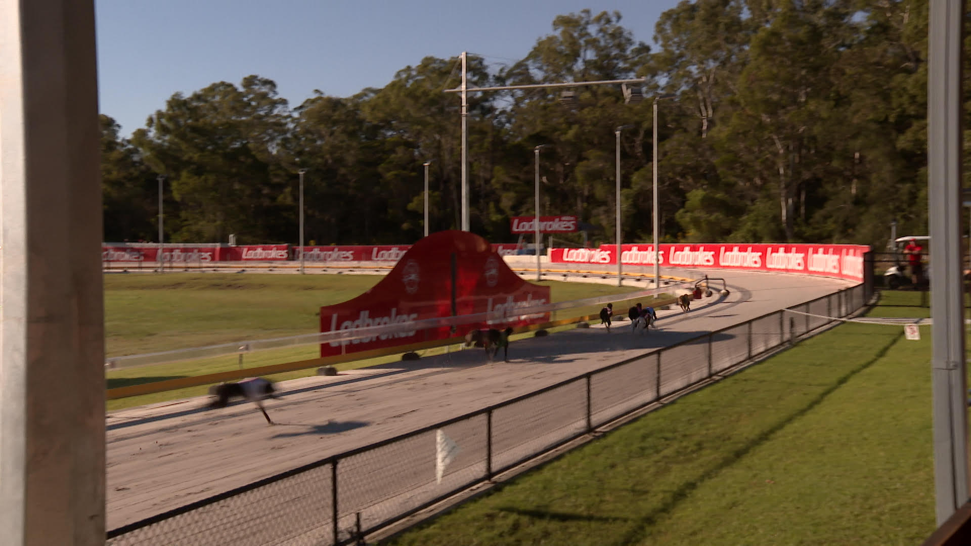 Underdogs run fast at Taree Easter Carnival – NBN News