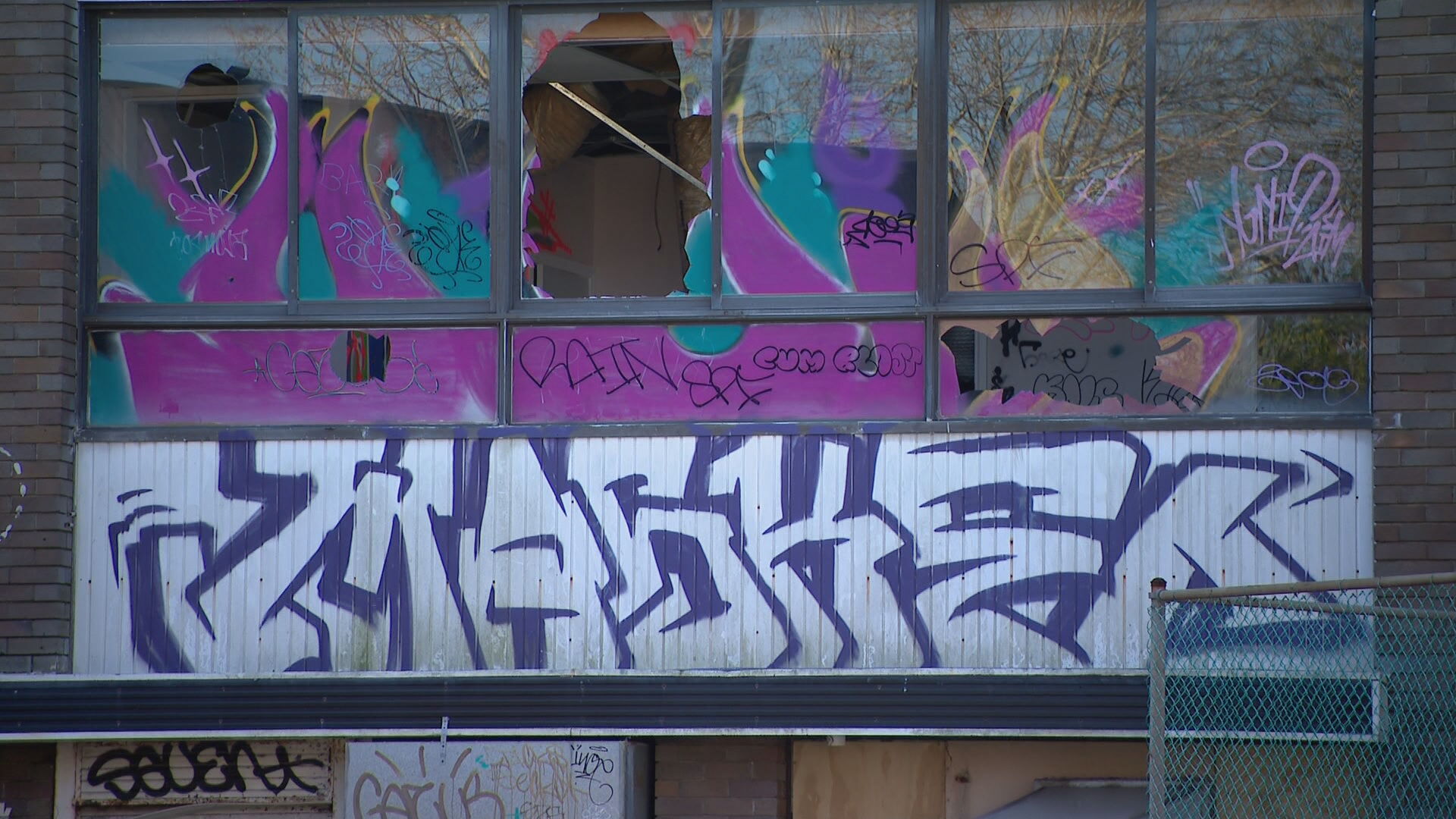 Growing calls to clean up graffiti in Newcastle – NBN News