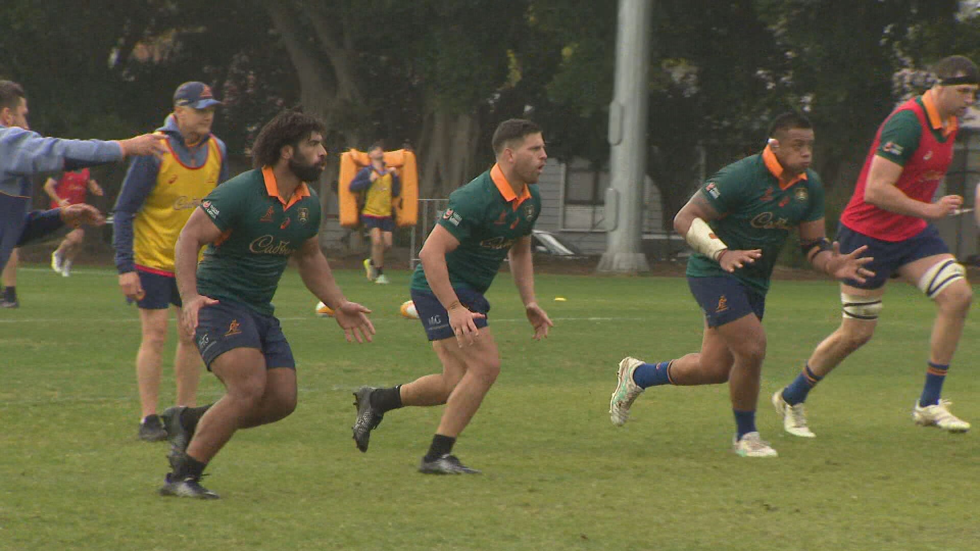 Newcastle fans turn out for Wallabies – NBN News