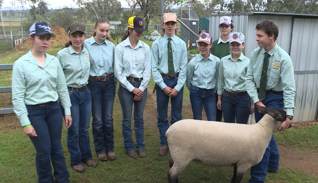 ‘Ewe-reka!’: Peel High School wins big at NSW Sheep Show – NBN News