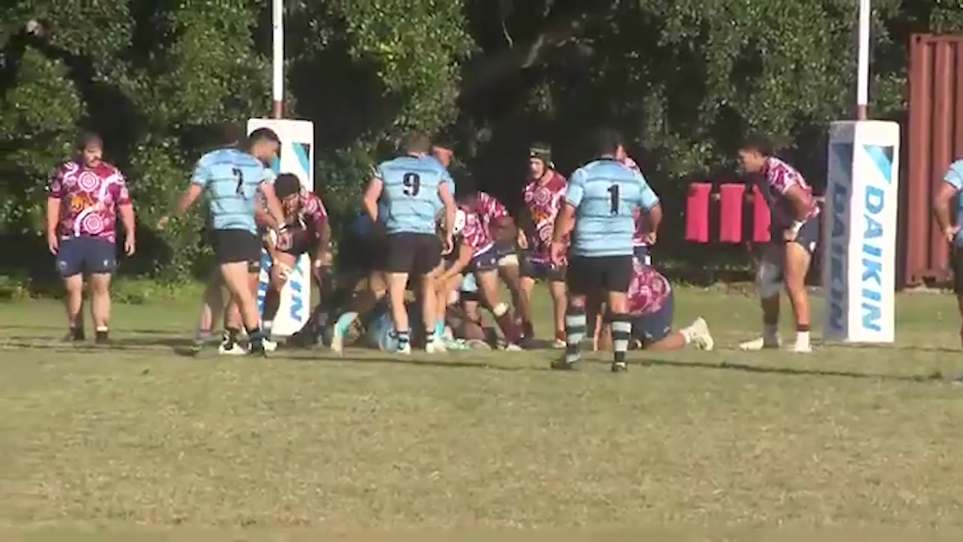 Ballina Seahorses prove too strong for Casino Bulls – NBN News
