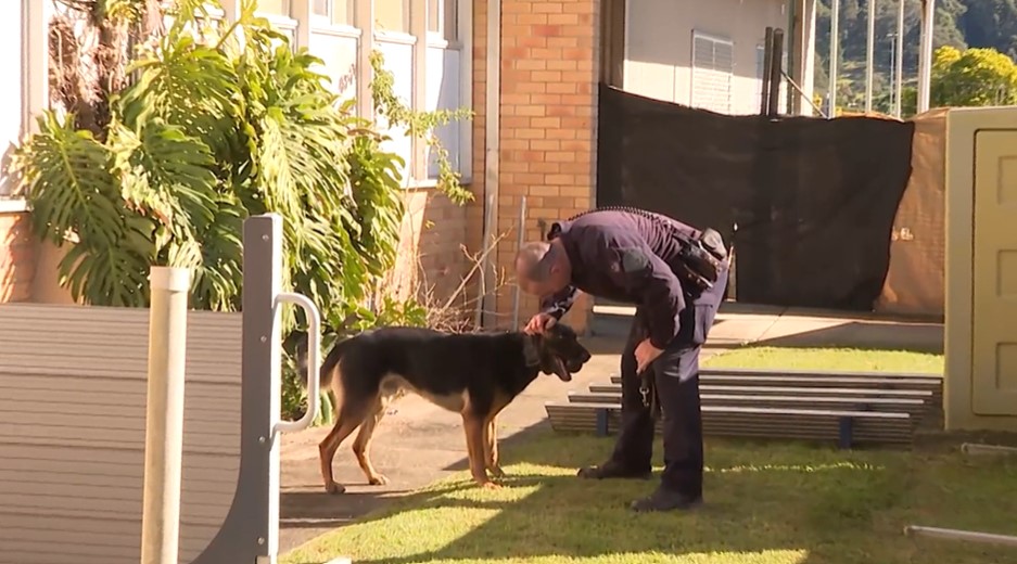 YOUR STORY | Meet NSW Police’s long-serving dog handler – NBN News