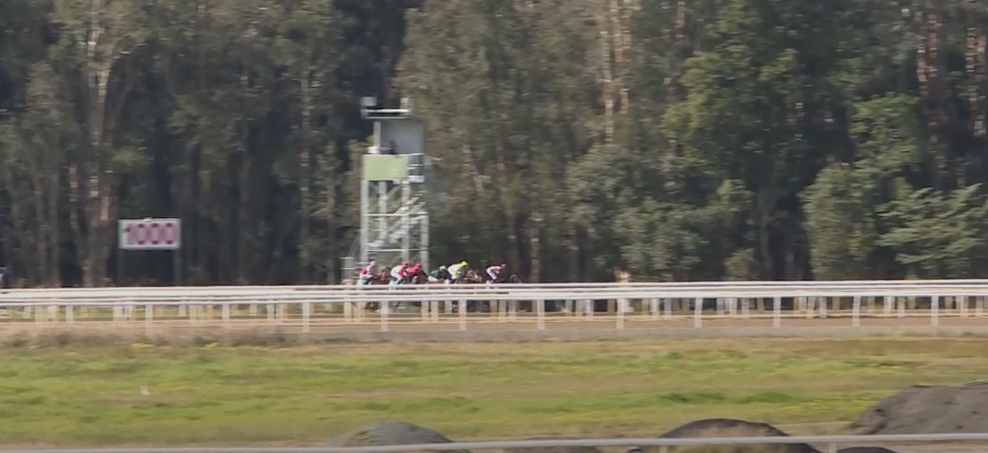 Wyong Race Club prepares for final meeting – NBN News