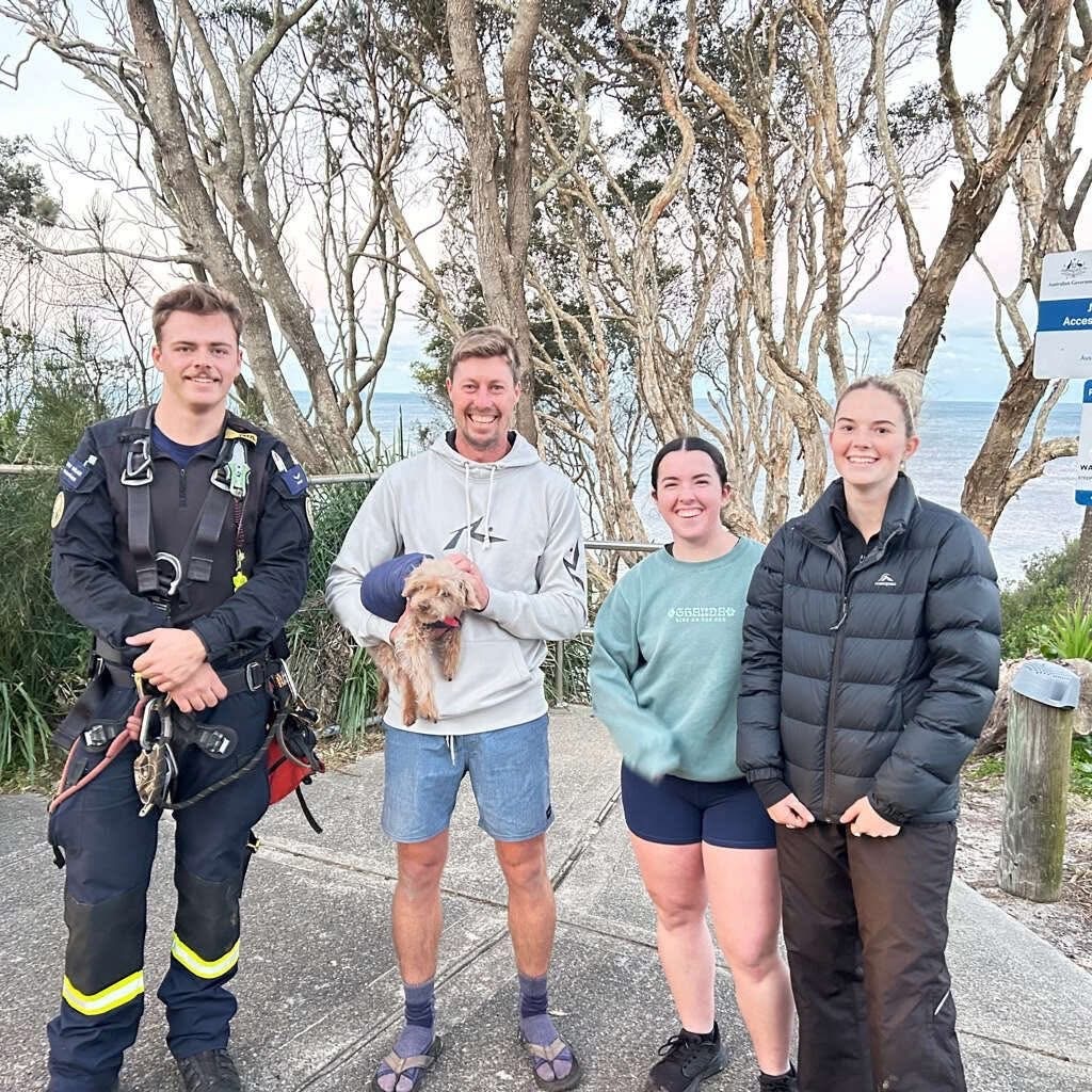 Pooch’s senior moment sparks emergency operation – NBN News