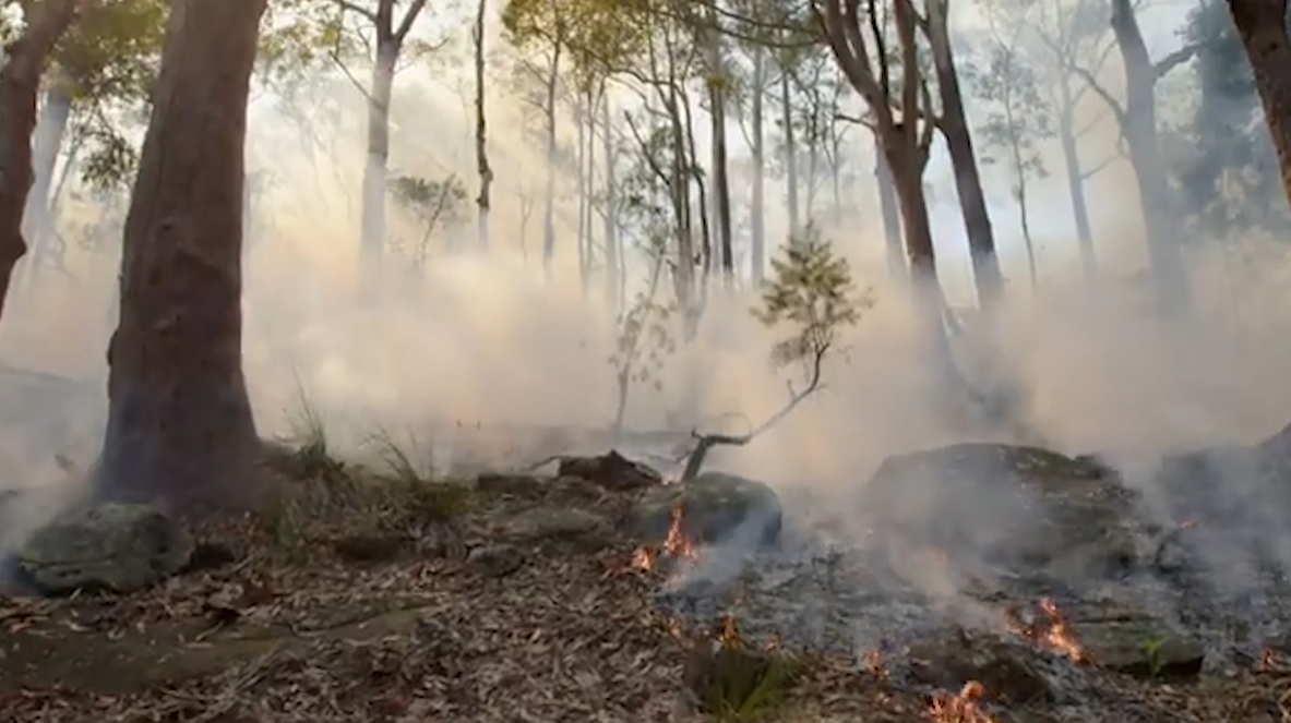 RFS reminds landholders to notify before hazard reduction burns – NBN News
