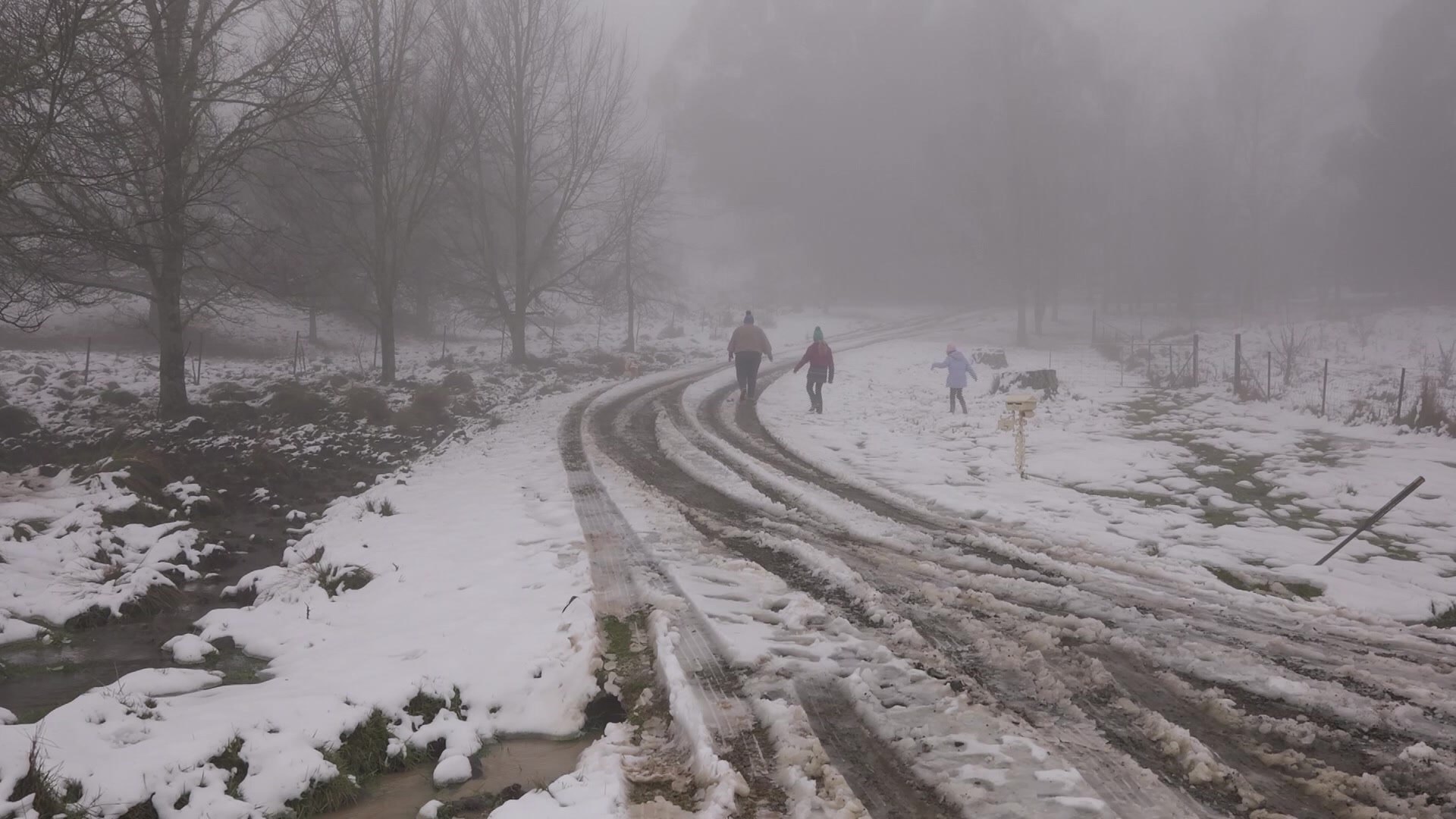 Snow delights locals across the region – NBN News
