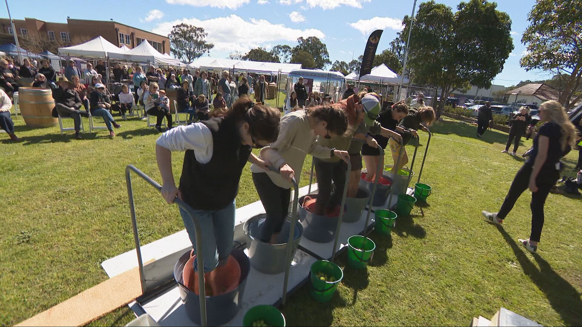Cessnock Stomp grape crush draws a crowd – NBN News