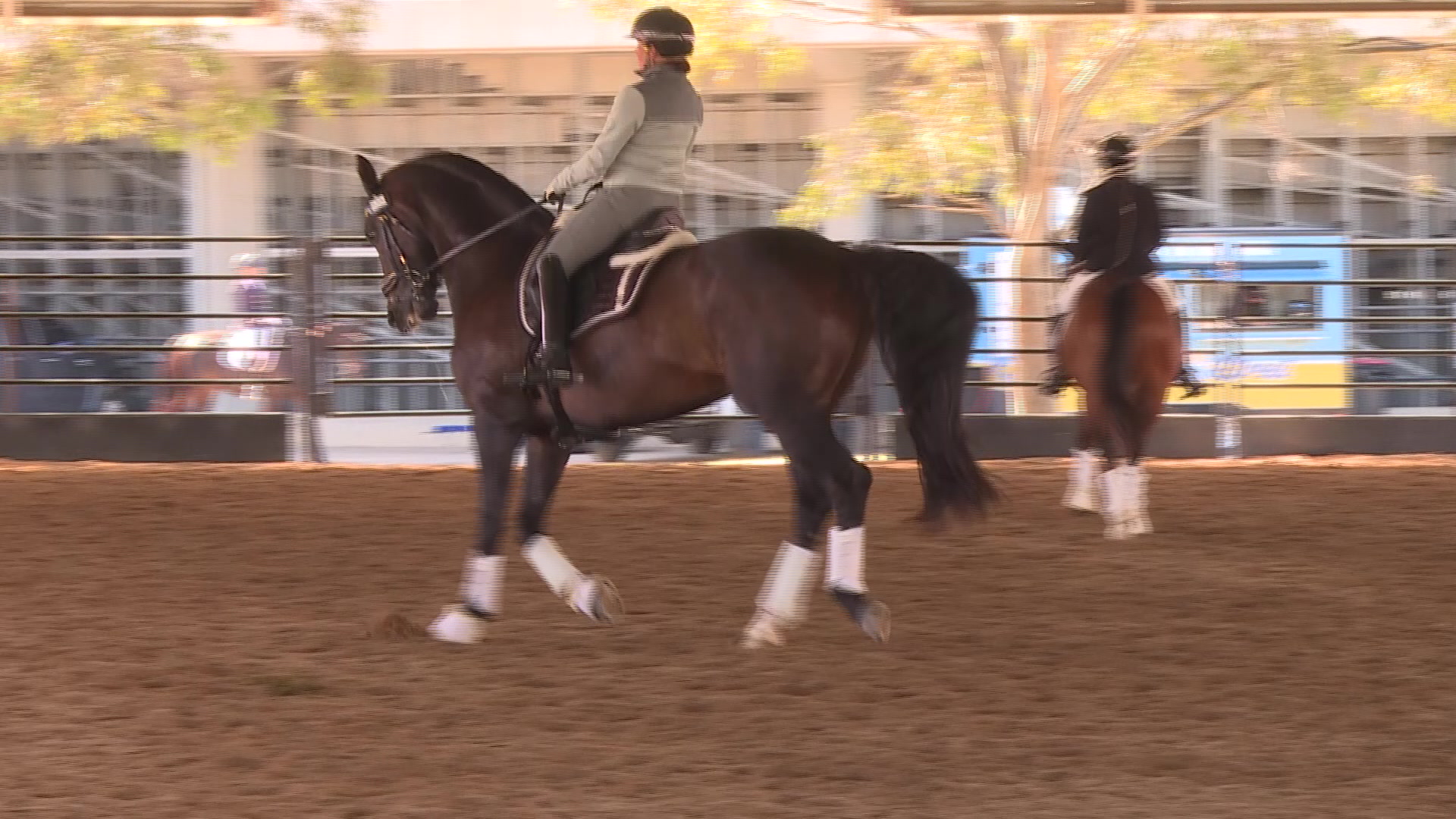 State dressage championships off to a flying start – NBN News